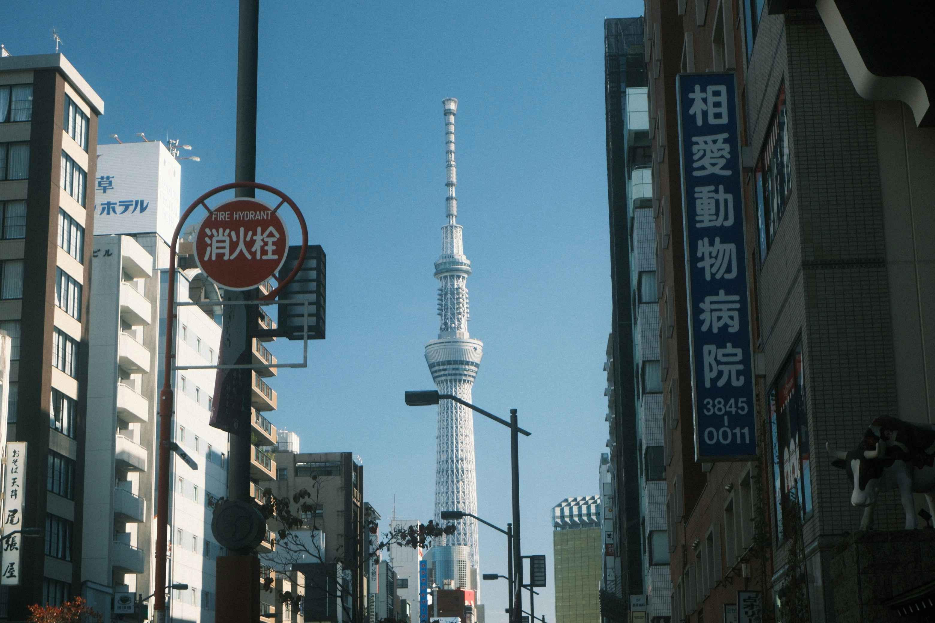 Photo by Putra Wijaya with Fujifilm X-M5