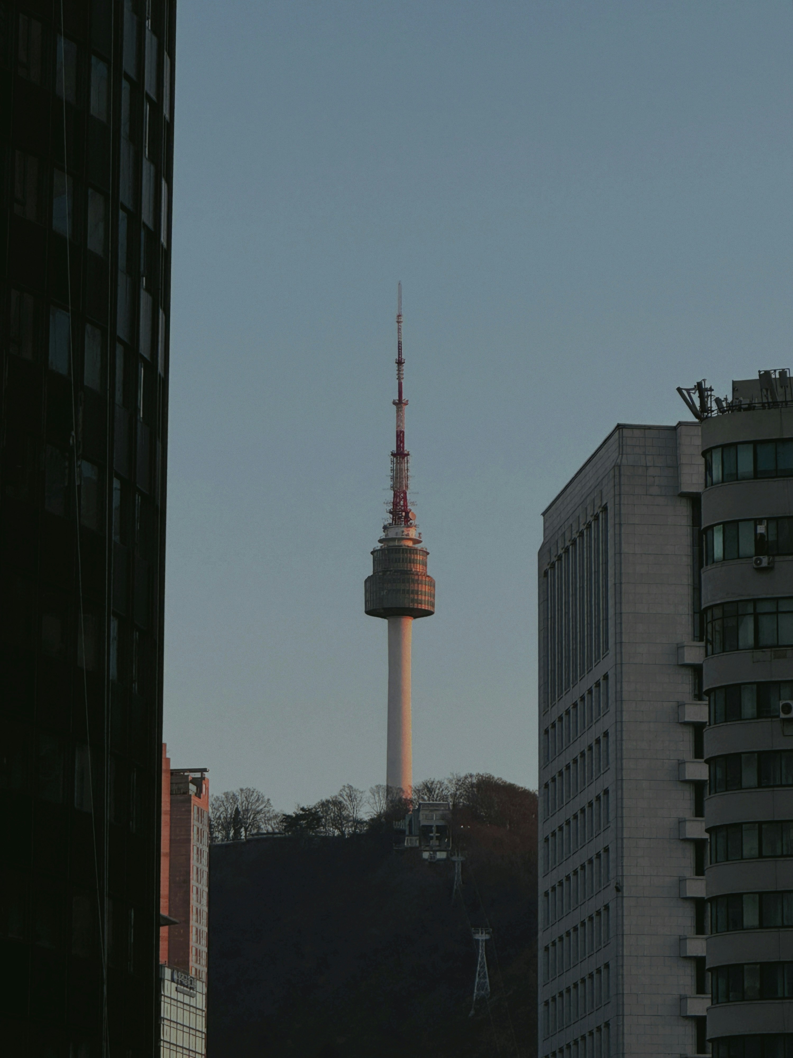 City Tower Piercing the Skyline Between Quiet Midday Shadows
