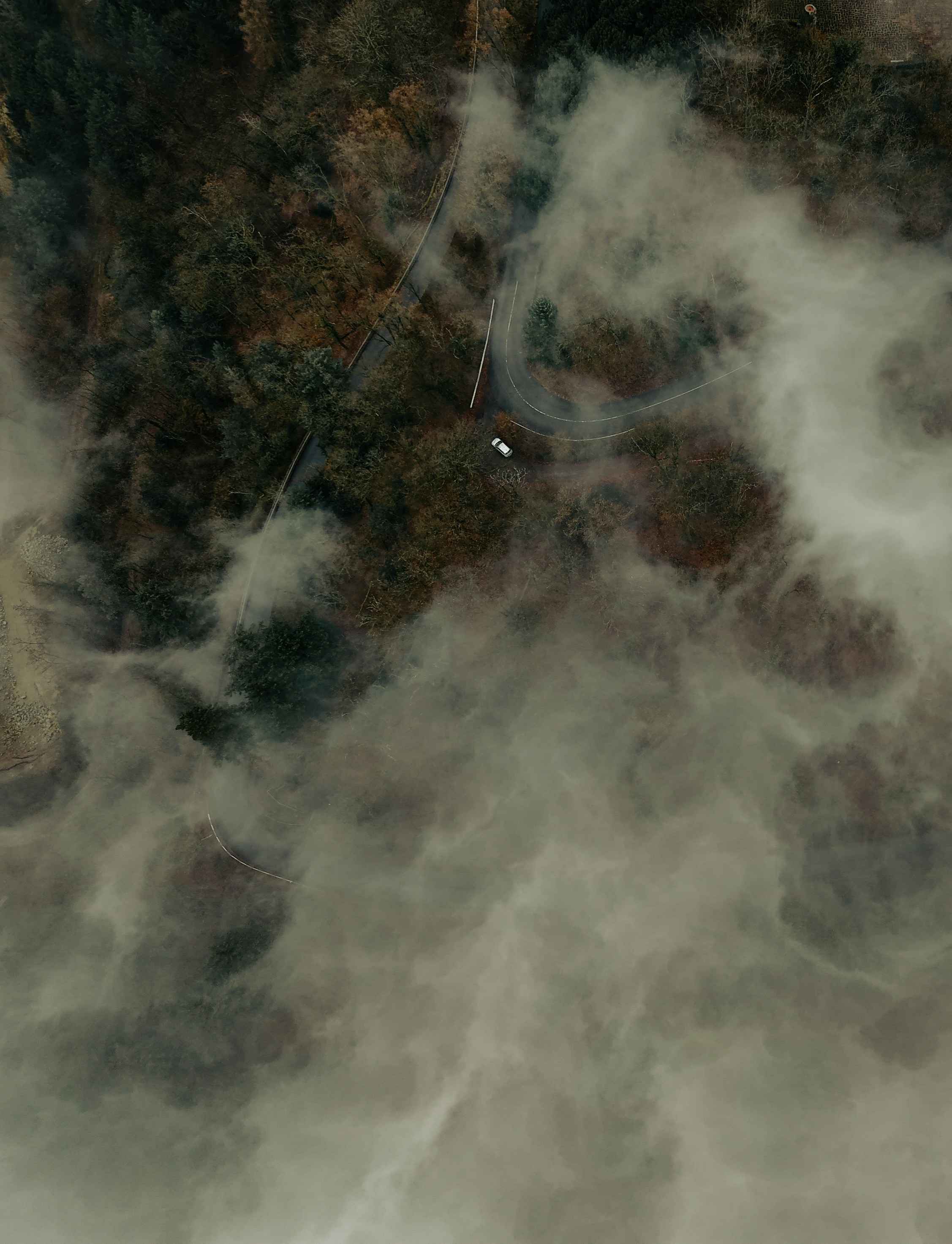Aerial Tranquility: Road through Misty Forest
