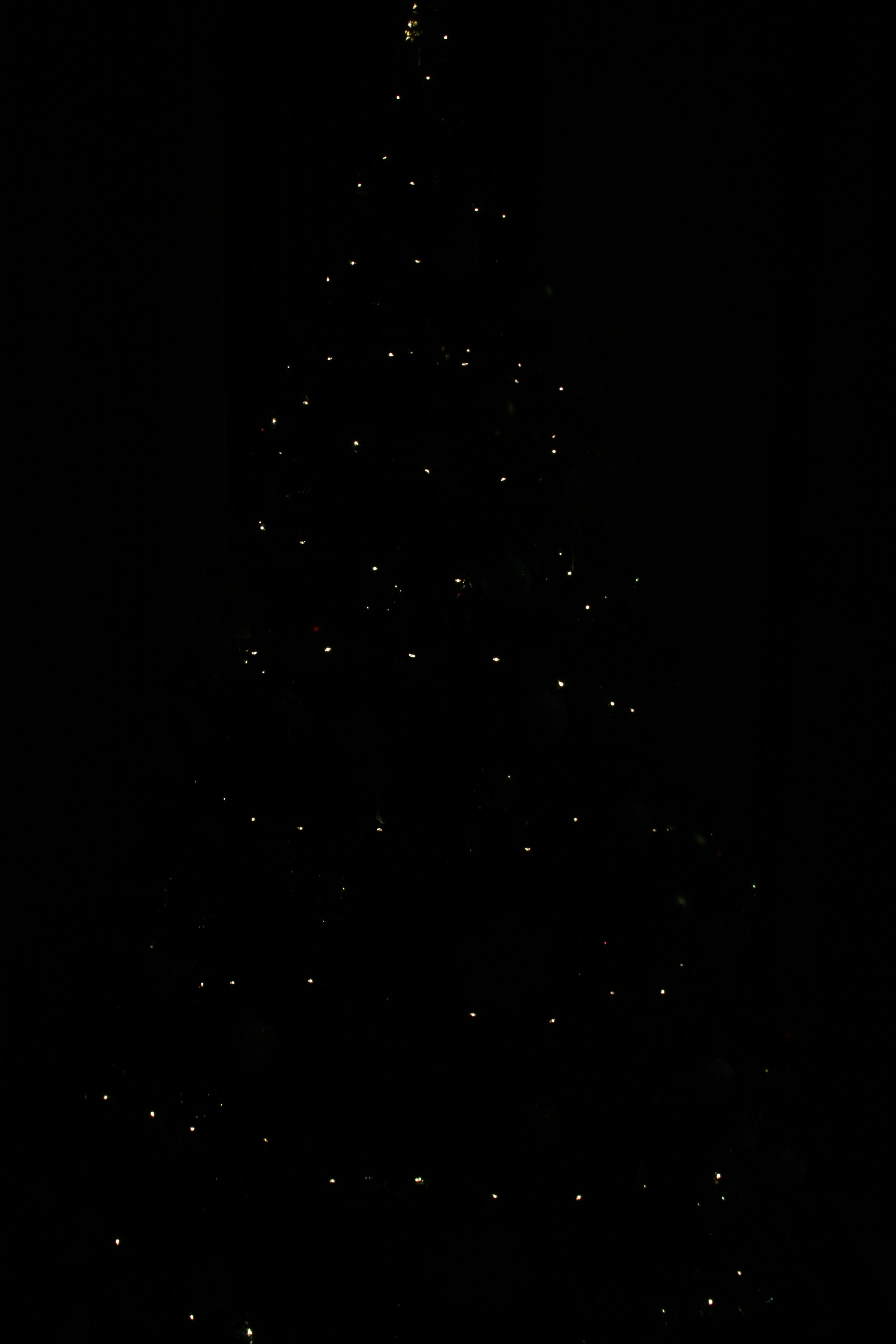 Silent Christmas Glow: A Dark Tree Adorned with Tiny Lights