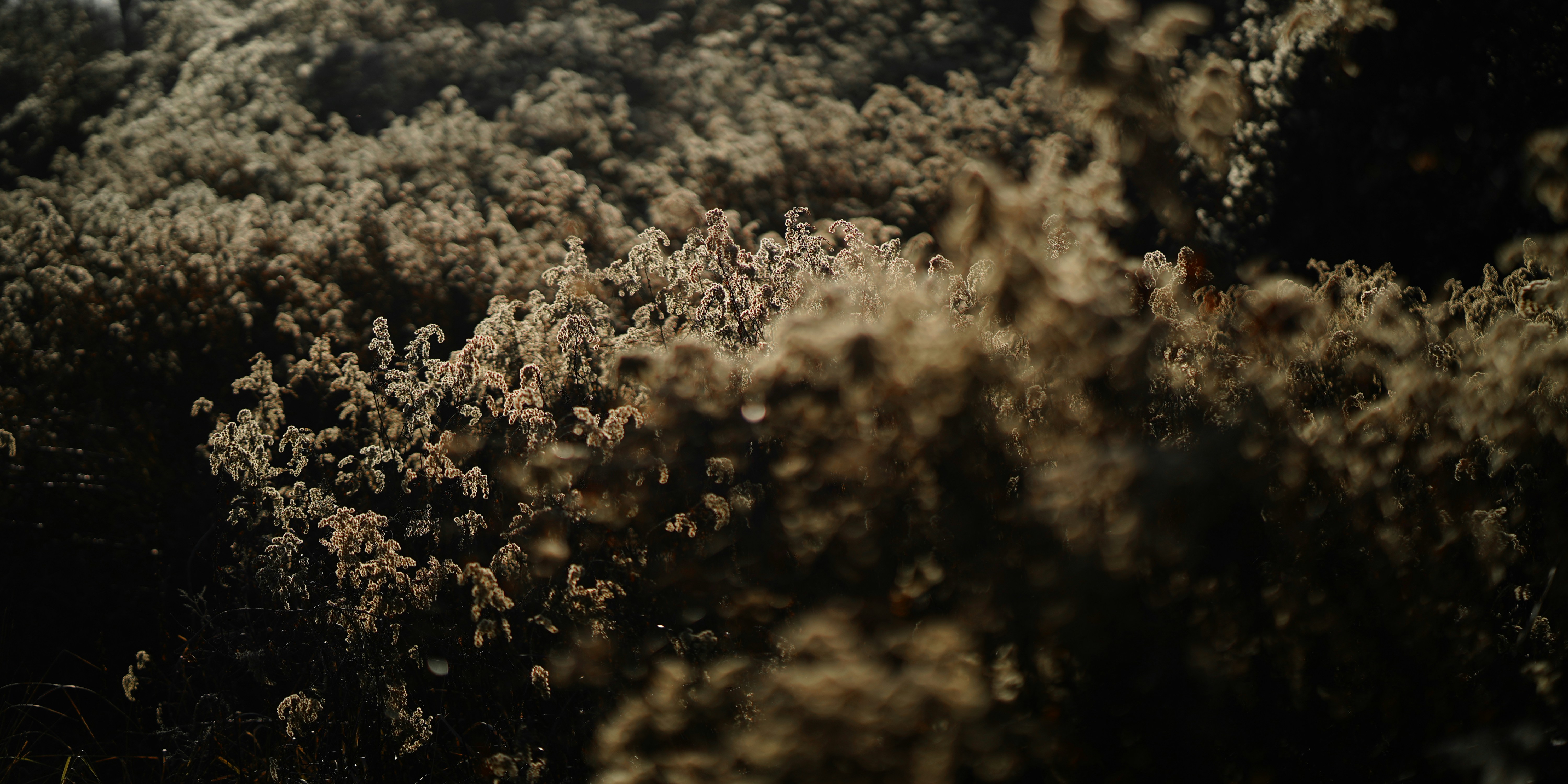 Photo by Jens Aber with Sony Alpha 7 III