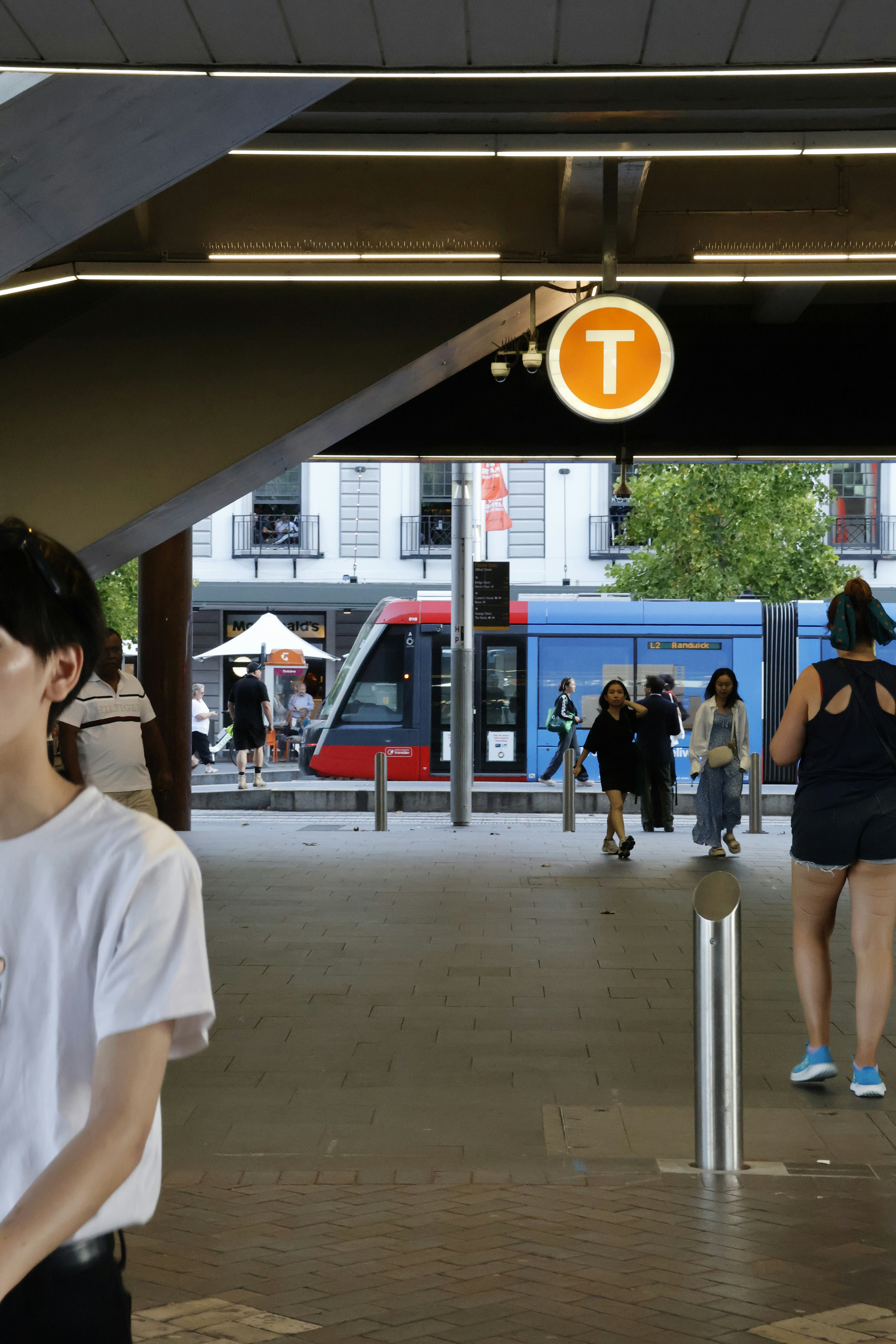 Platform Pulse: Commuters Beneath a T-assembled Transit Corridor
