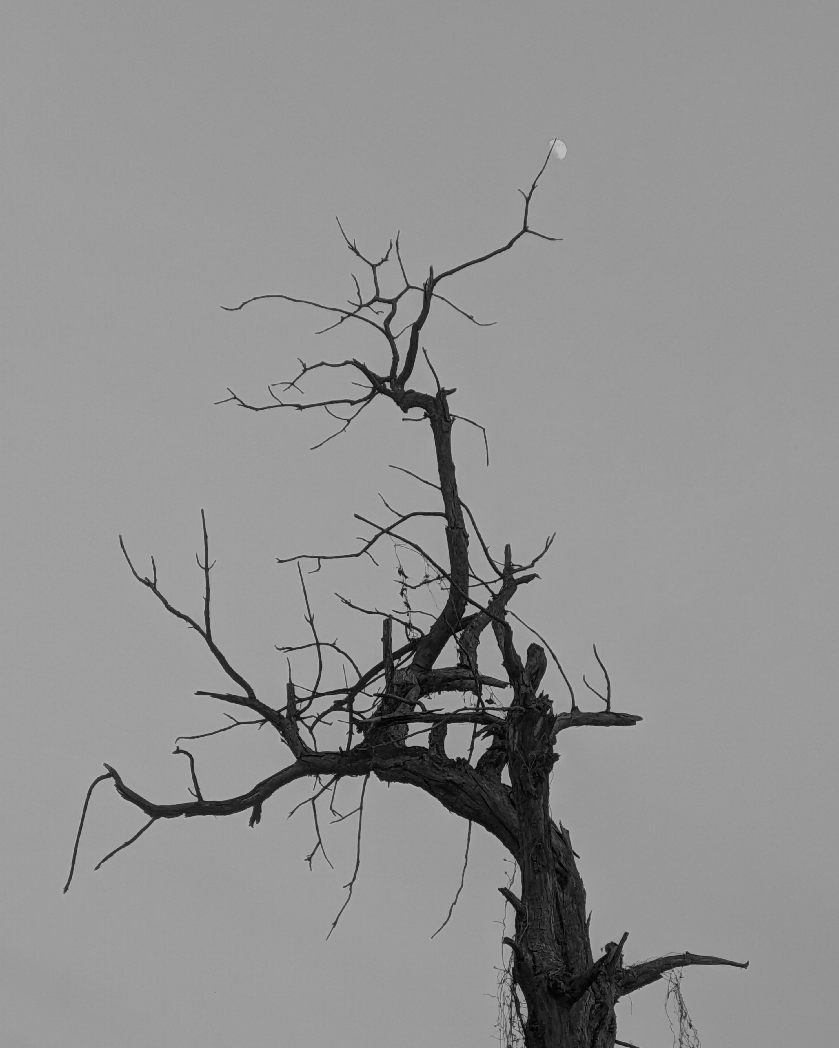 Rushikesh Sonkusale (@cortexwillow) | Communauté photos Unsplash