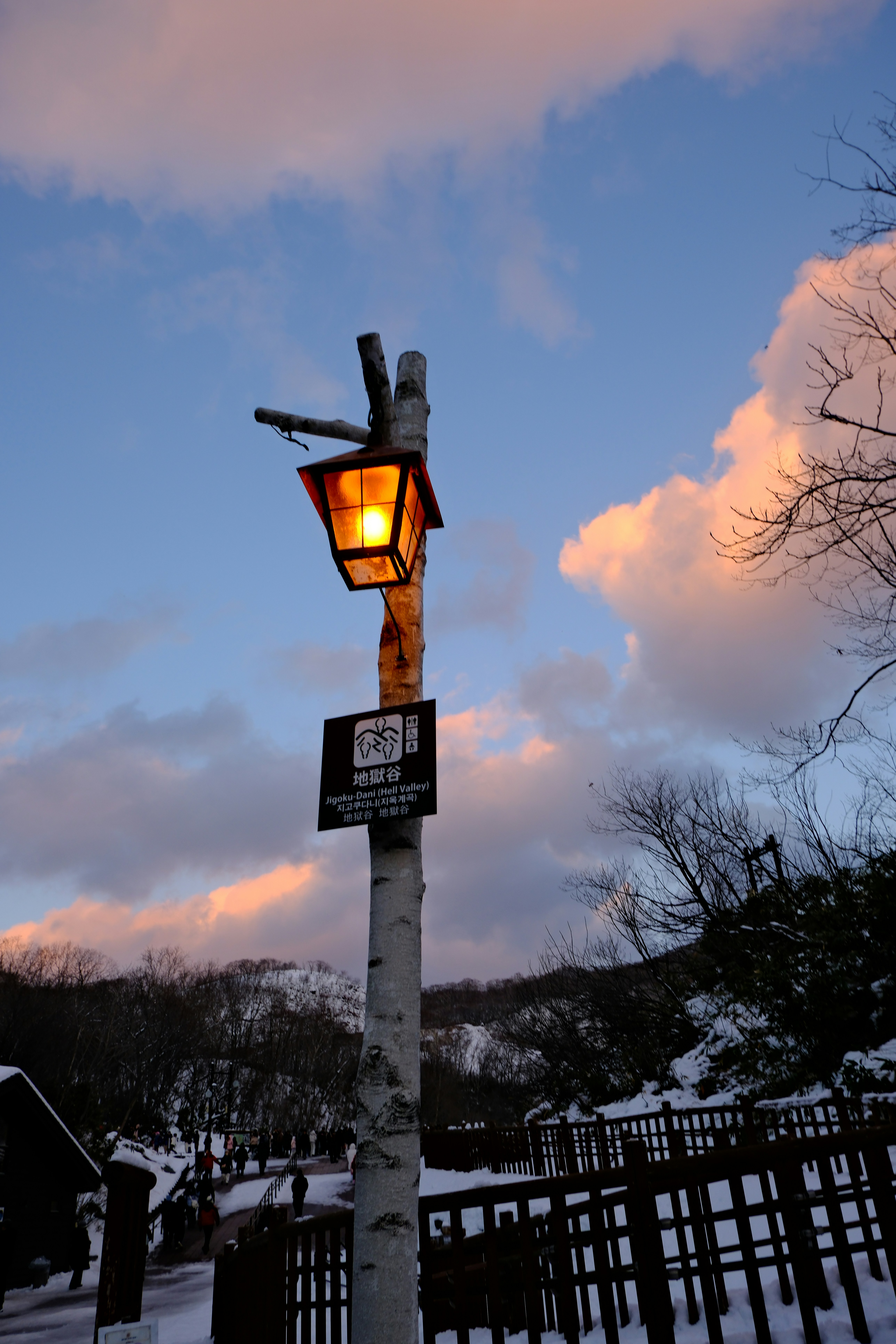 Photo by Linh Quach with Fujifilm X-T50