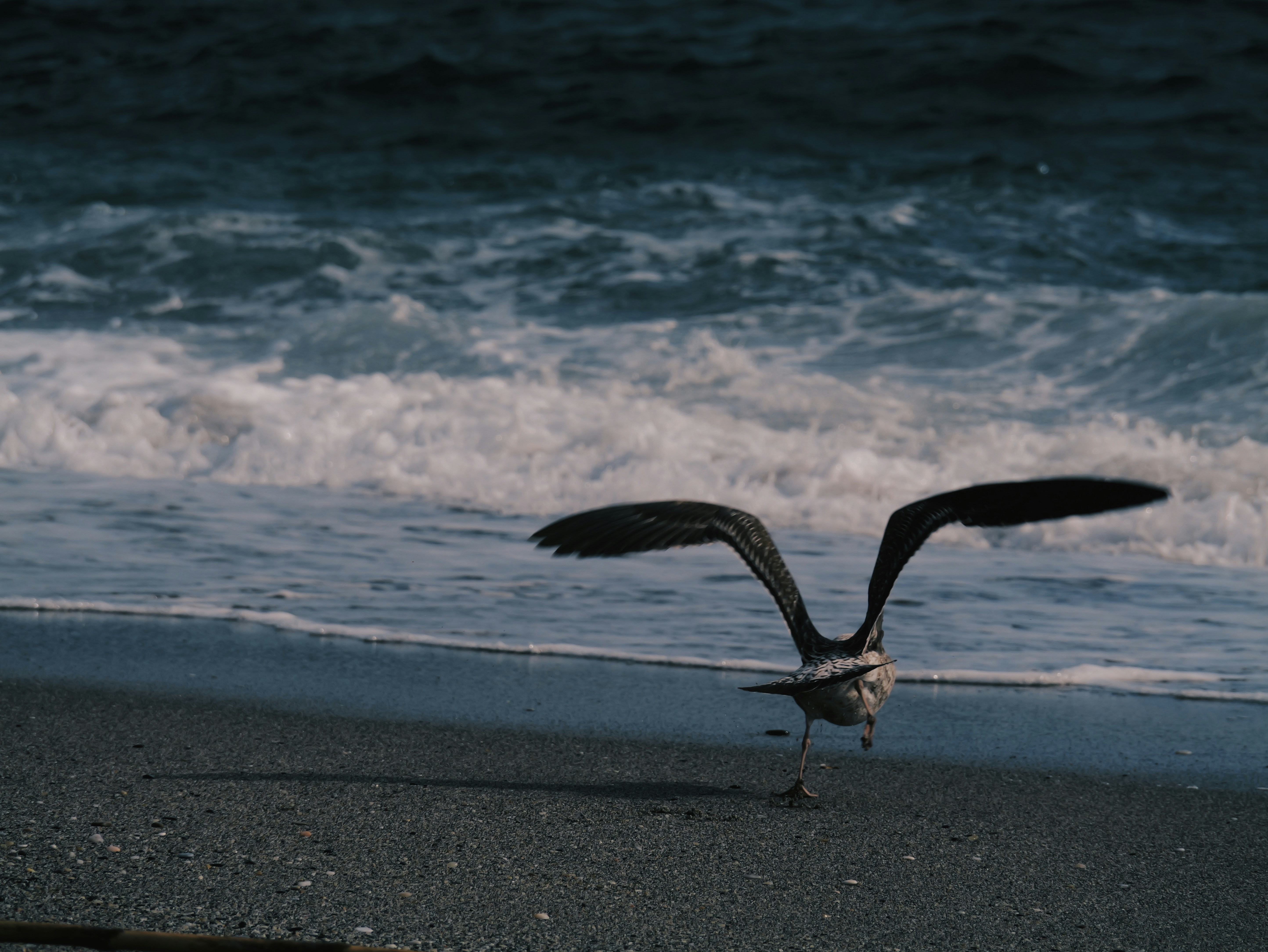 Photo by Andrei Z. with Panasonic Lumix G9 Mark II