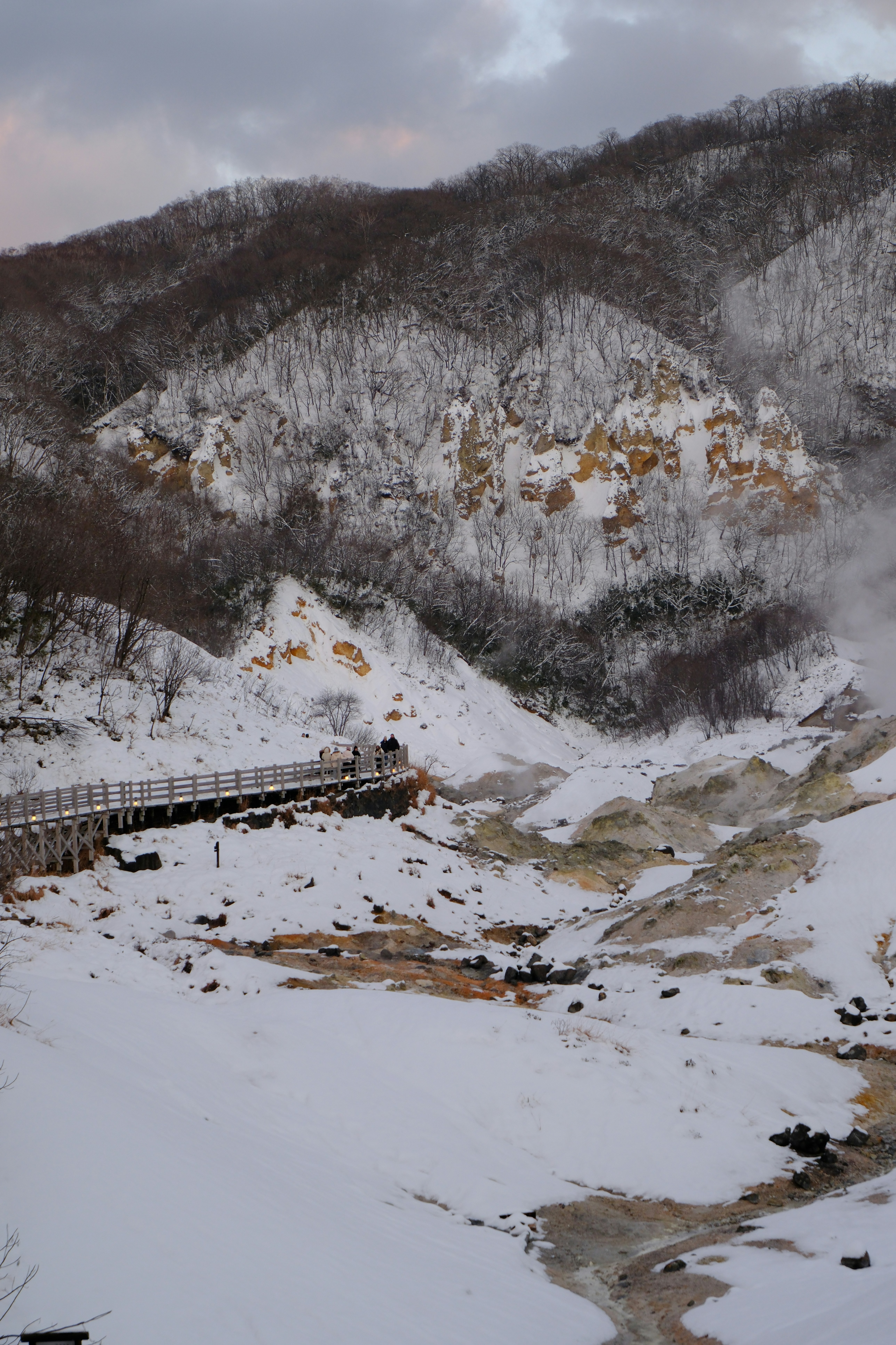 Snowy Cliffside Trail Overlook