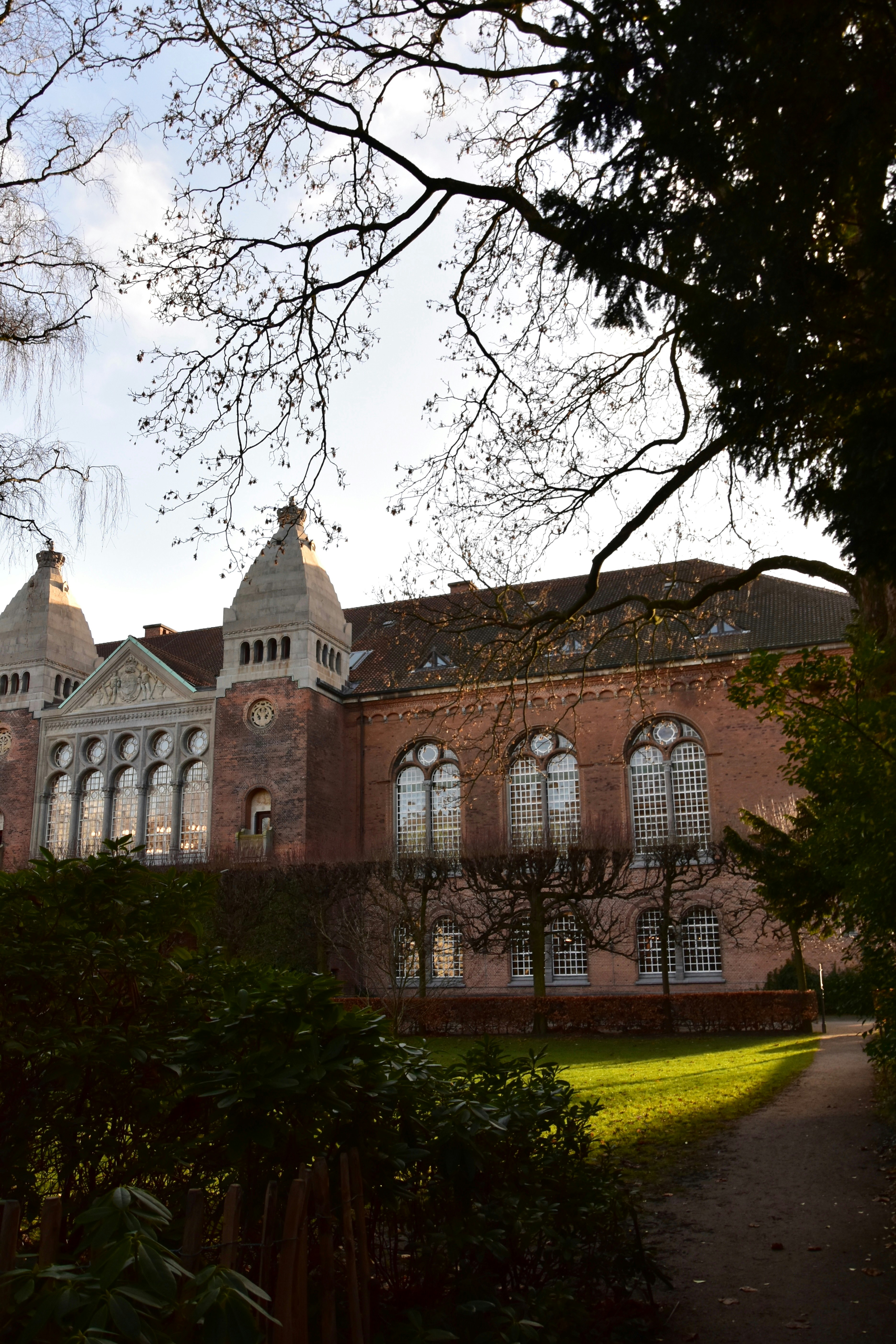 Photo by Sára Sedlmajerová with Nikon D3500