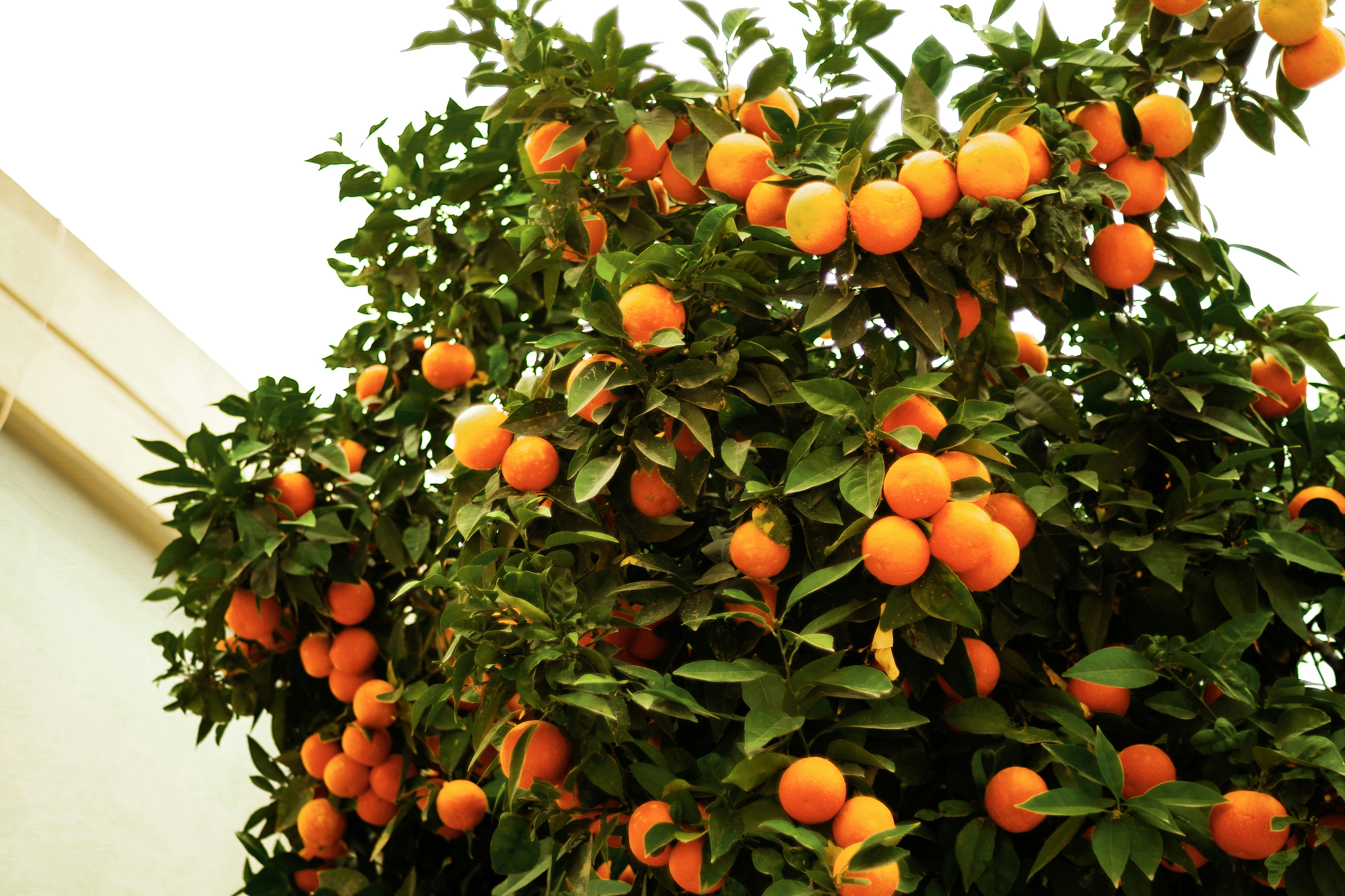 Photo by olga safronova with Pentax K-S2