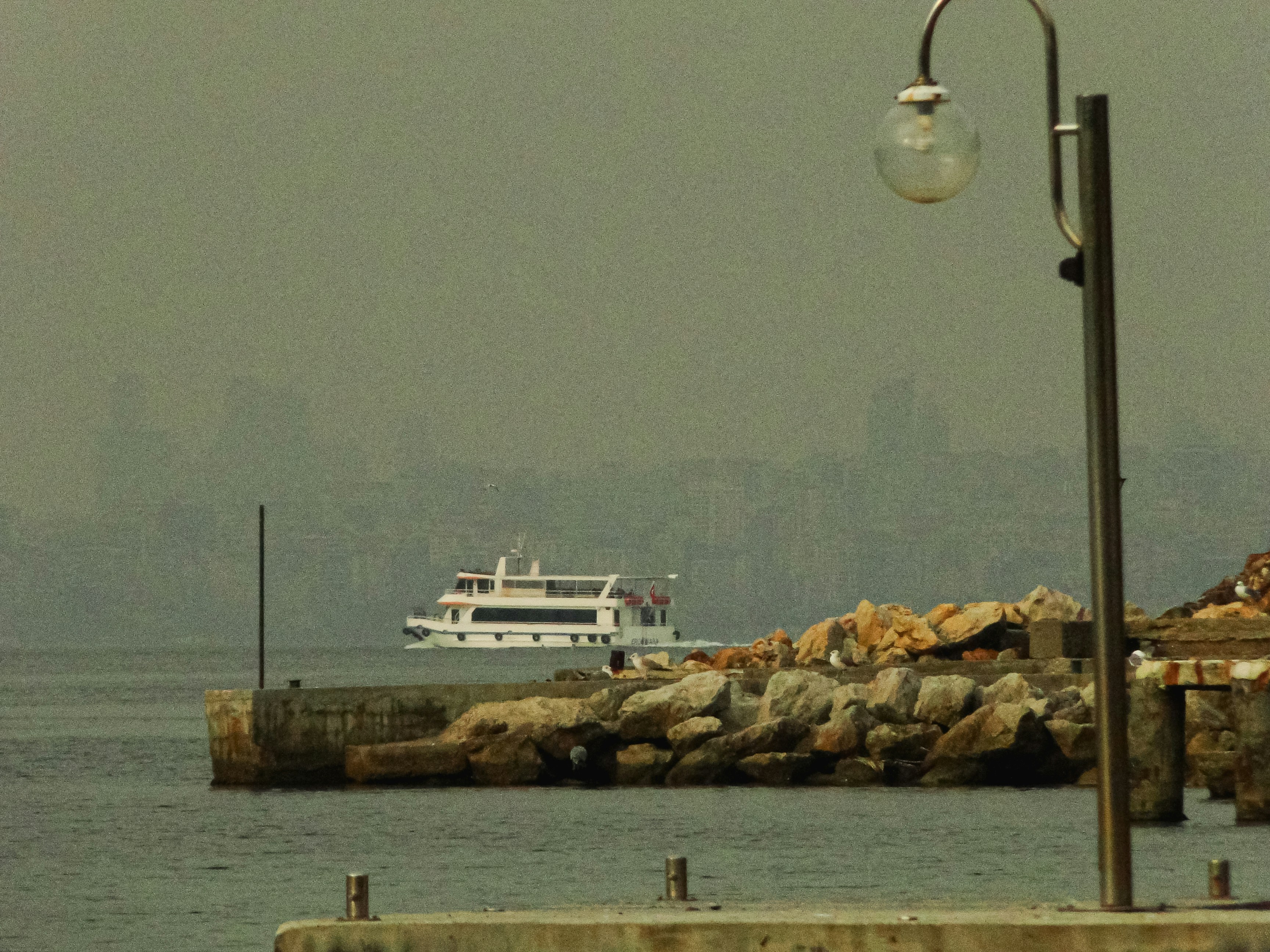 A white ferry boat sails on the water.