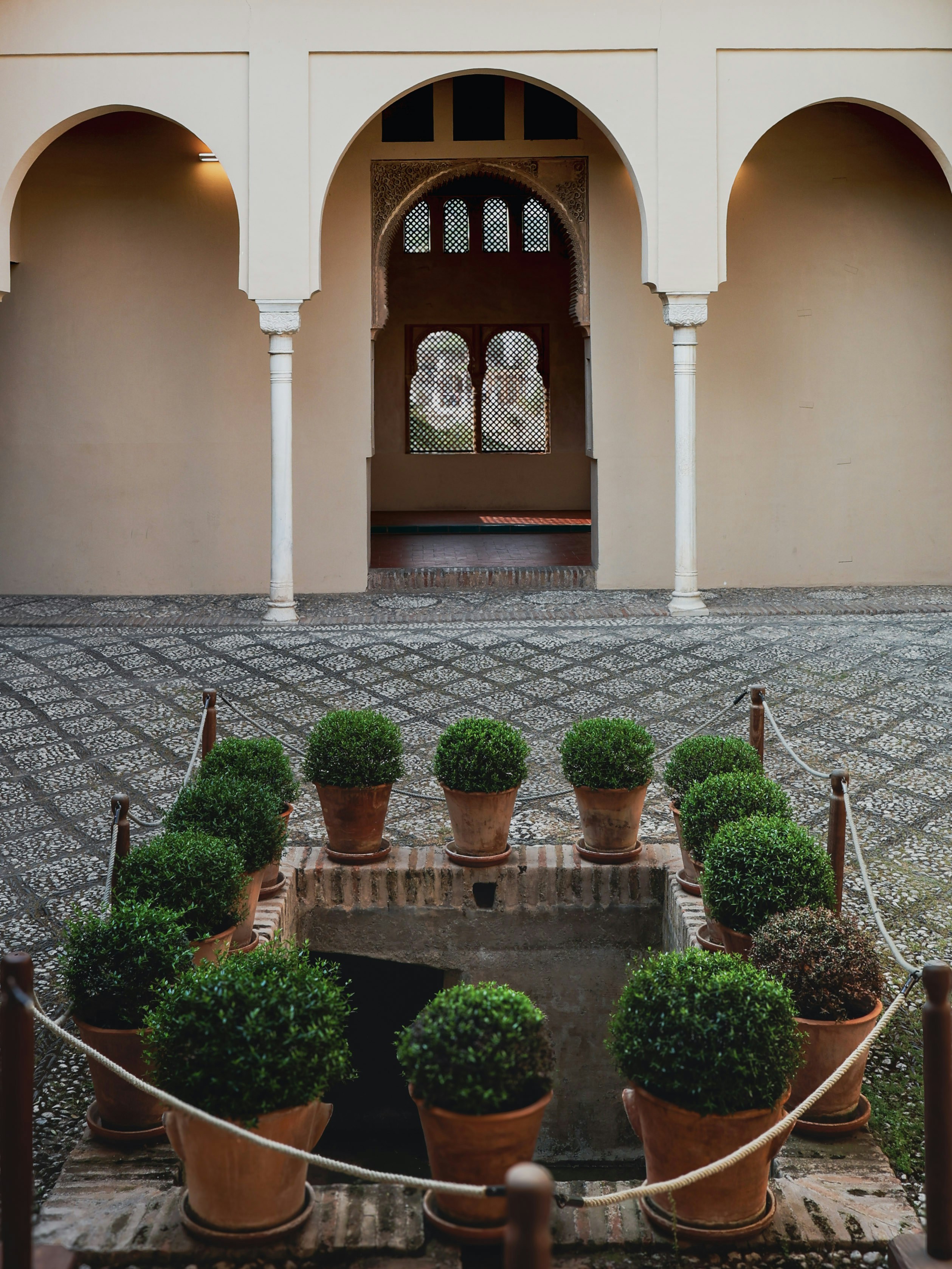 Symmetrical Courtyard Echoes: A Ring of Green in a Stone Halo