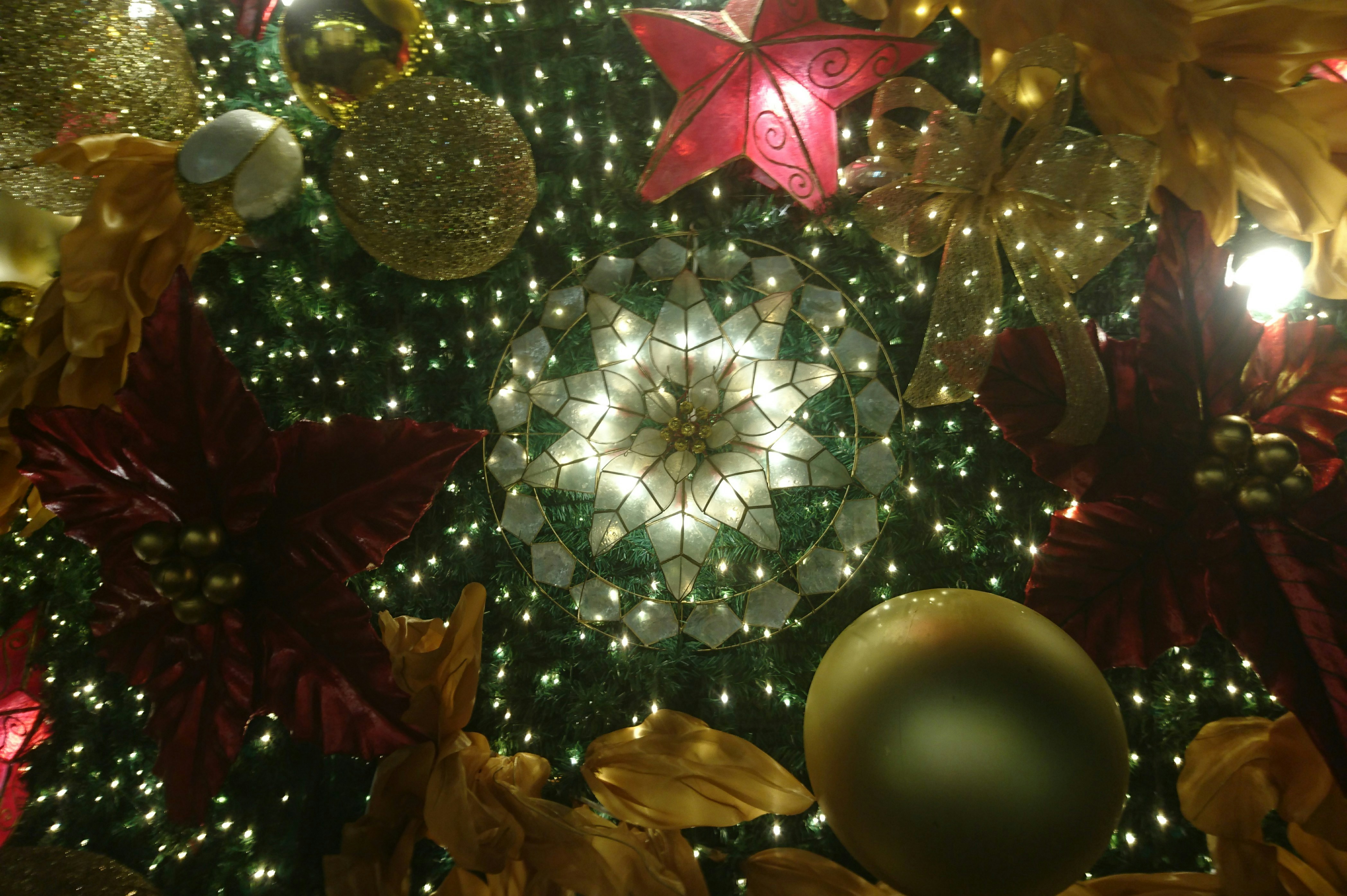 Photo by Lhar Capili with Sony Xperia Z5 Compact