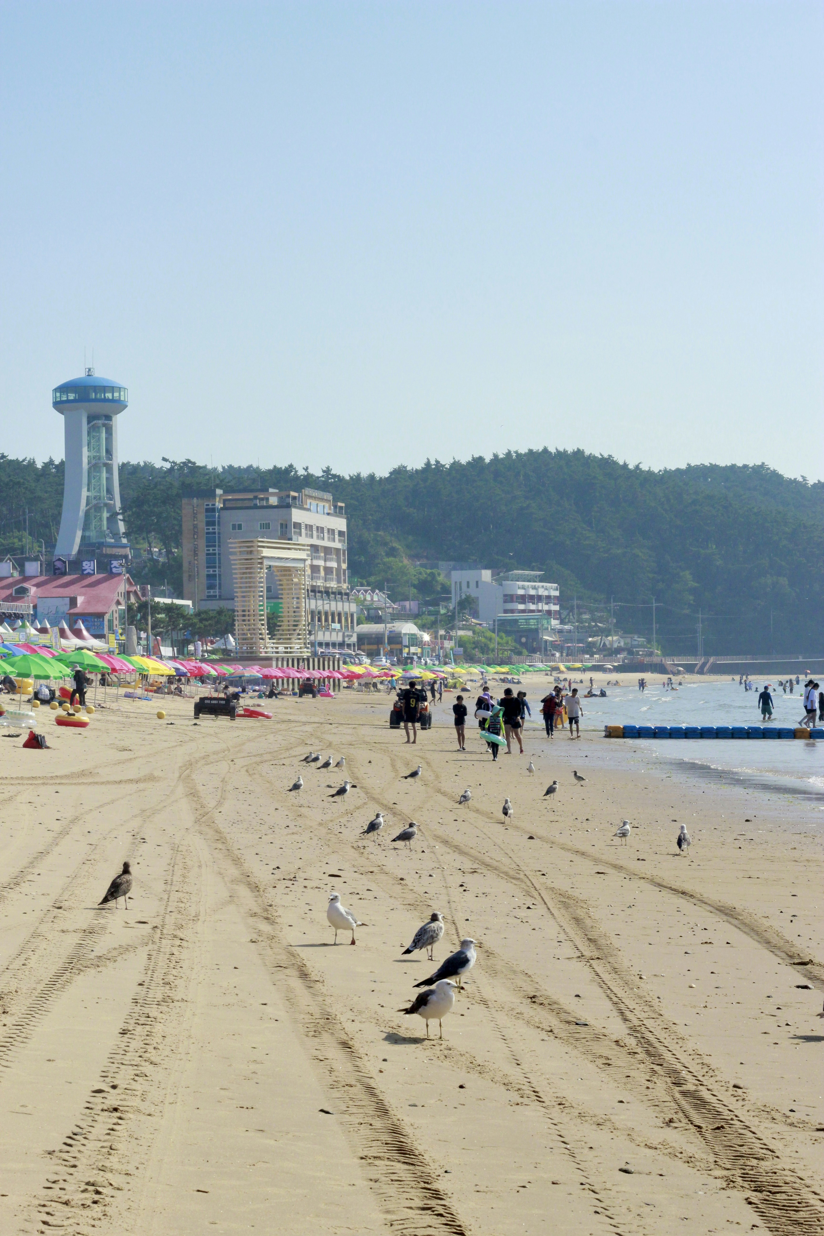 Sunlit Shoreline: Seagulls, Umbrellas, and the Distant Promenade