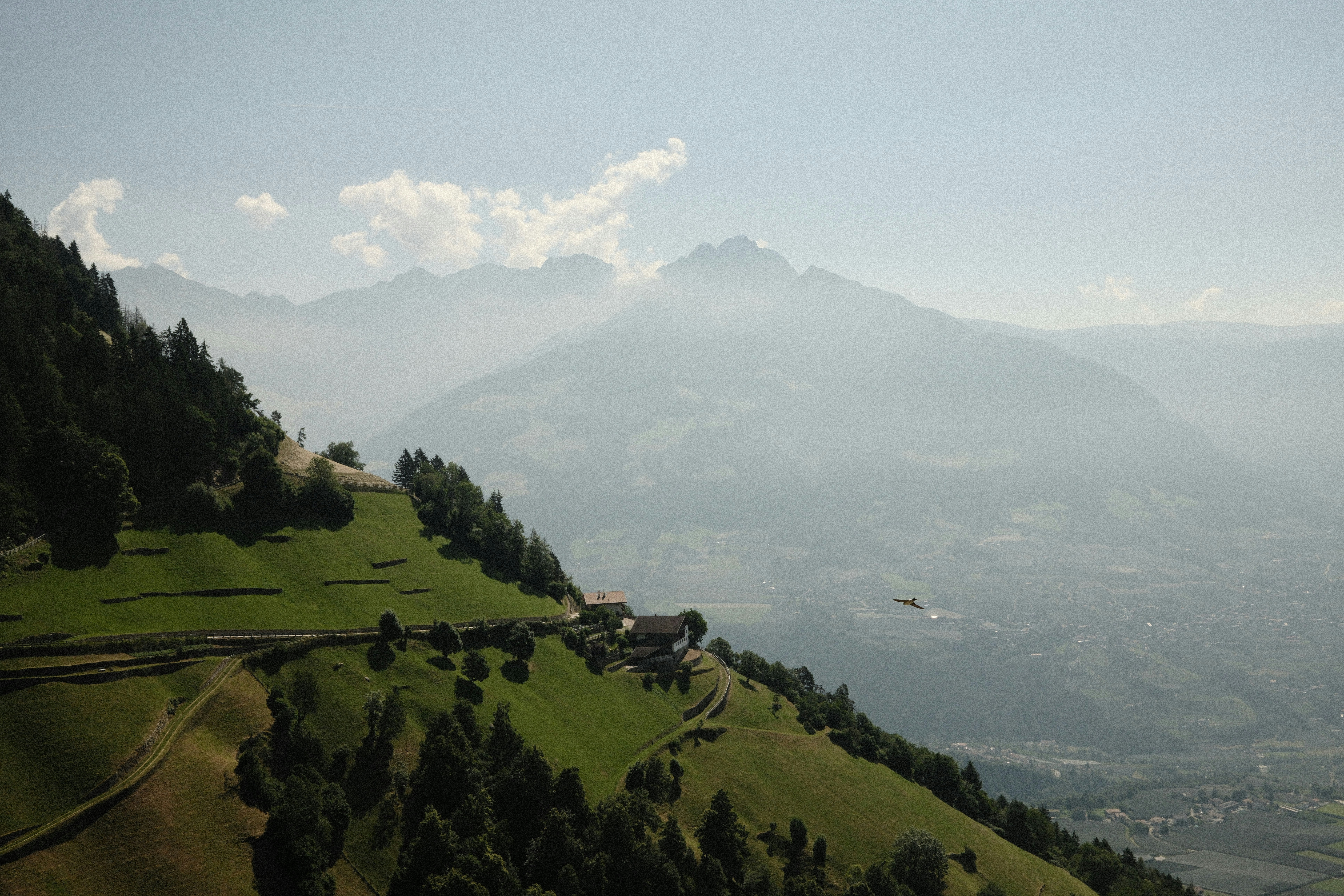 A bird soaring above lush green mountains near Merano, with a beautiful sky creating a calm and natural alpine atmosphere in northern Italy.