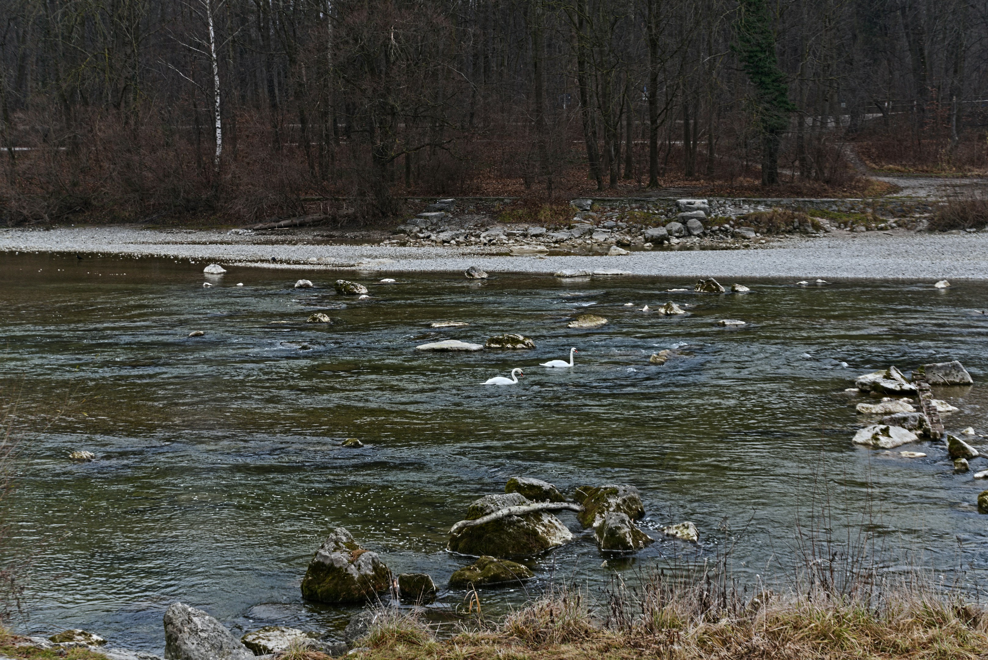 Photo by Konstantinos Papadopoulos with Sony Alpha 7R III