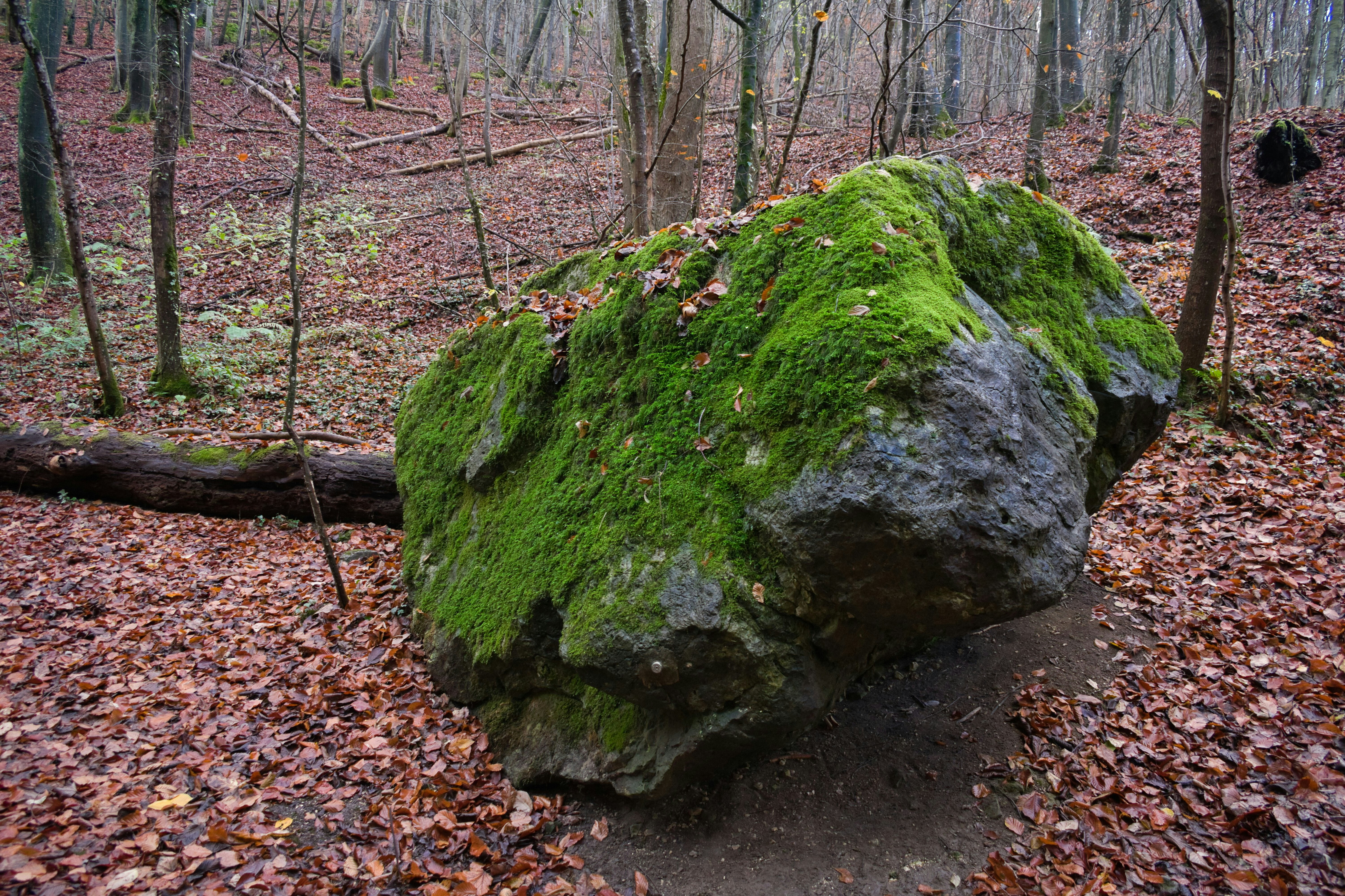 Weathered Stone in a Timeless Landscape Silent Stories Written in Stone