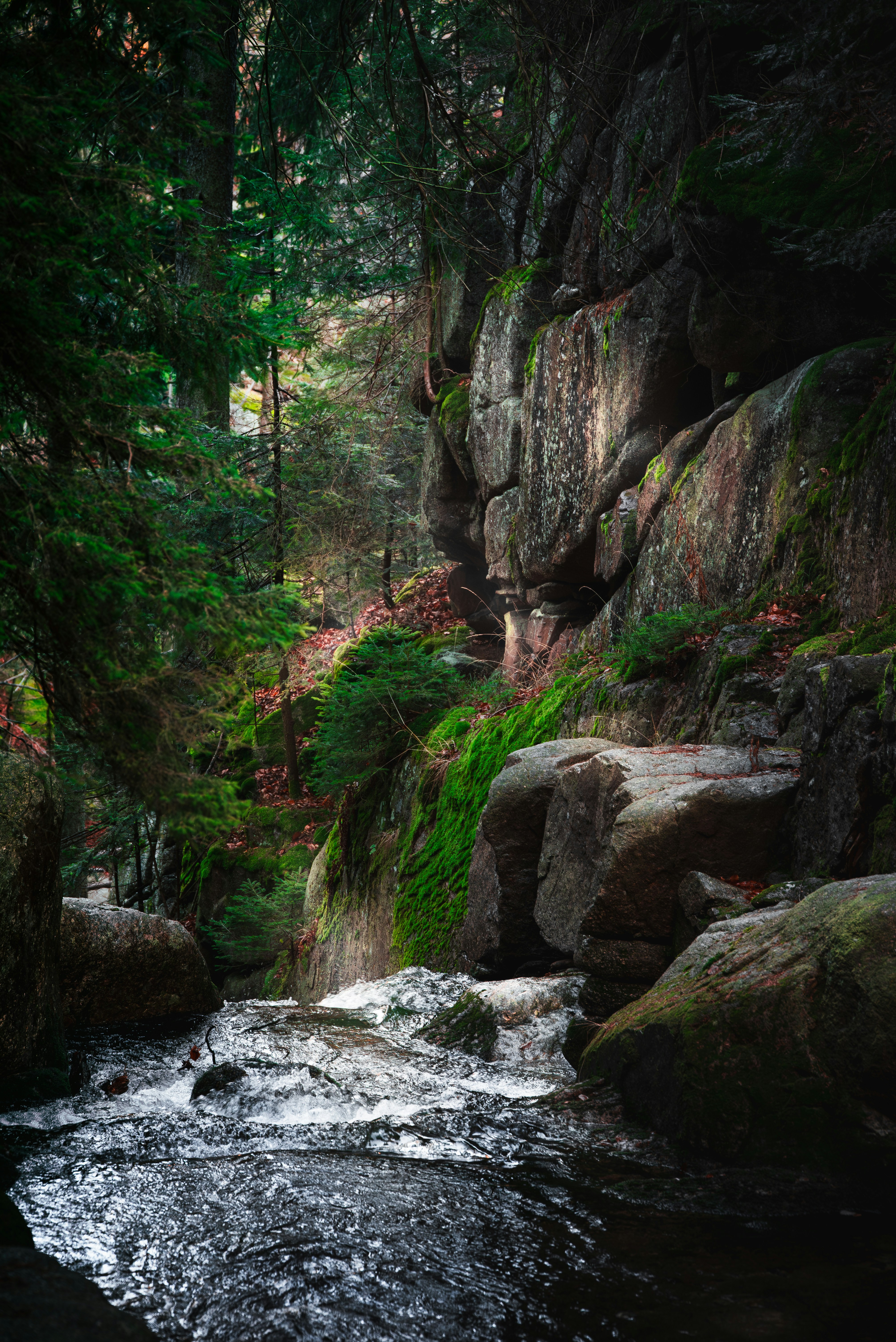 Sergey Antonov (@fabbulous) | Unsplash Photo Community