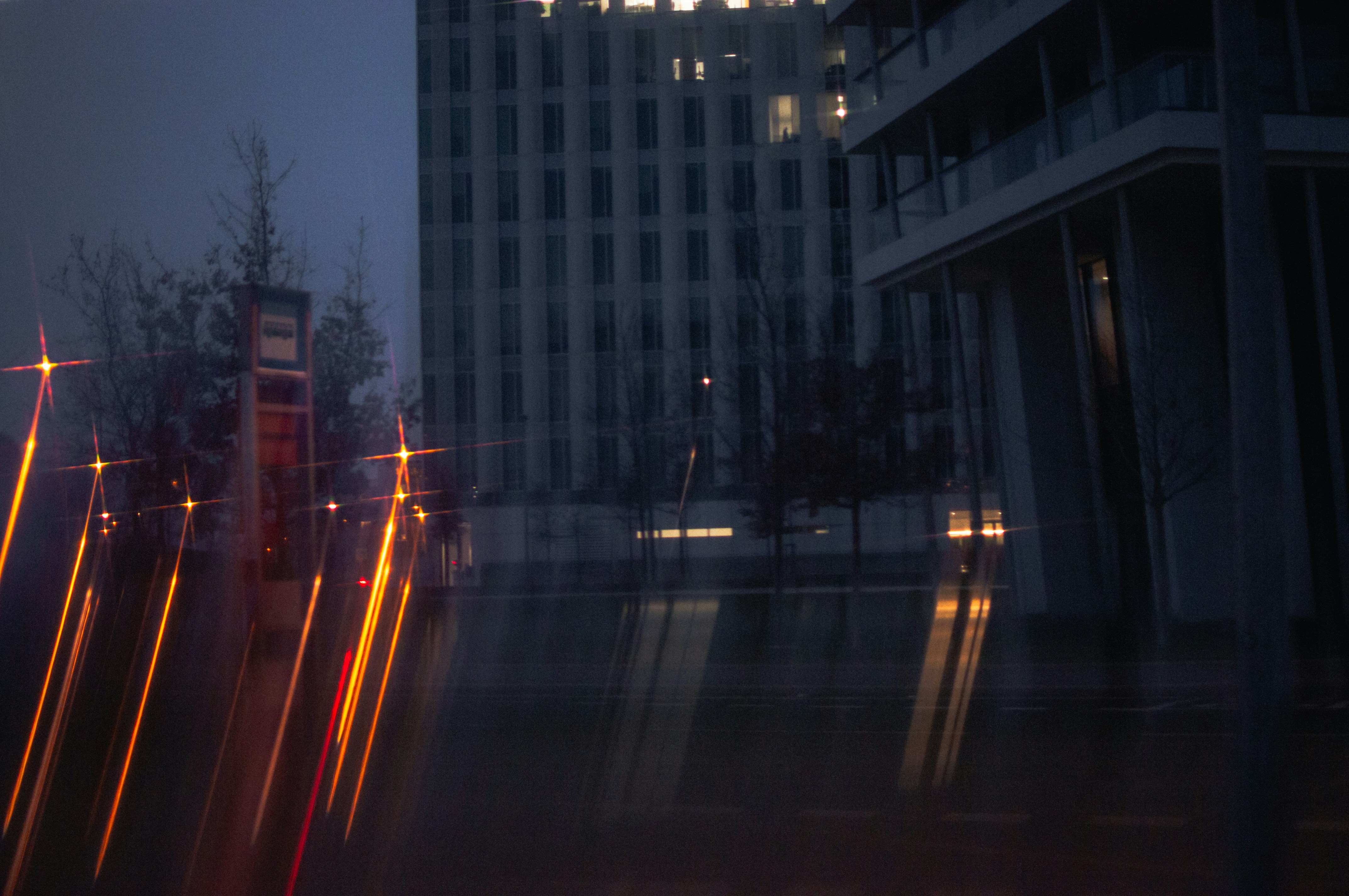 Blurred Neon Arcs in a Midnight City Street