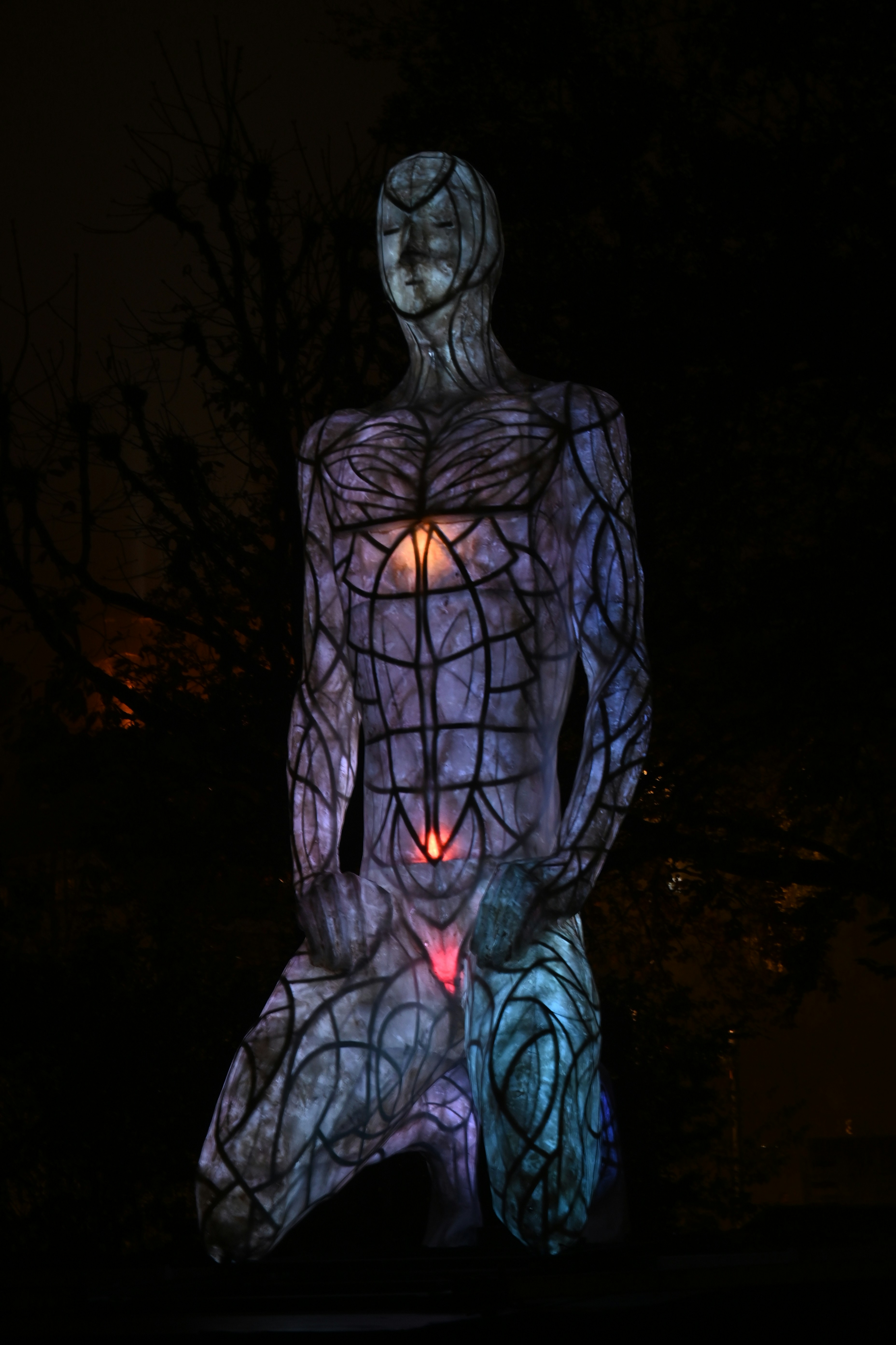 Photo by Tym Rohner with Nikon Z50