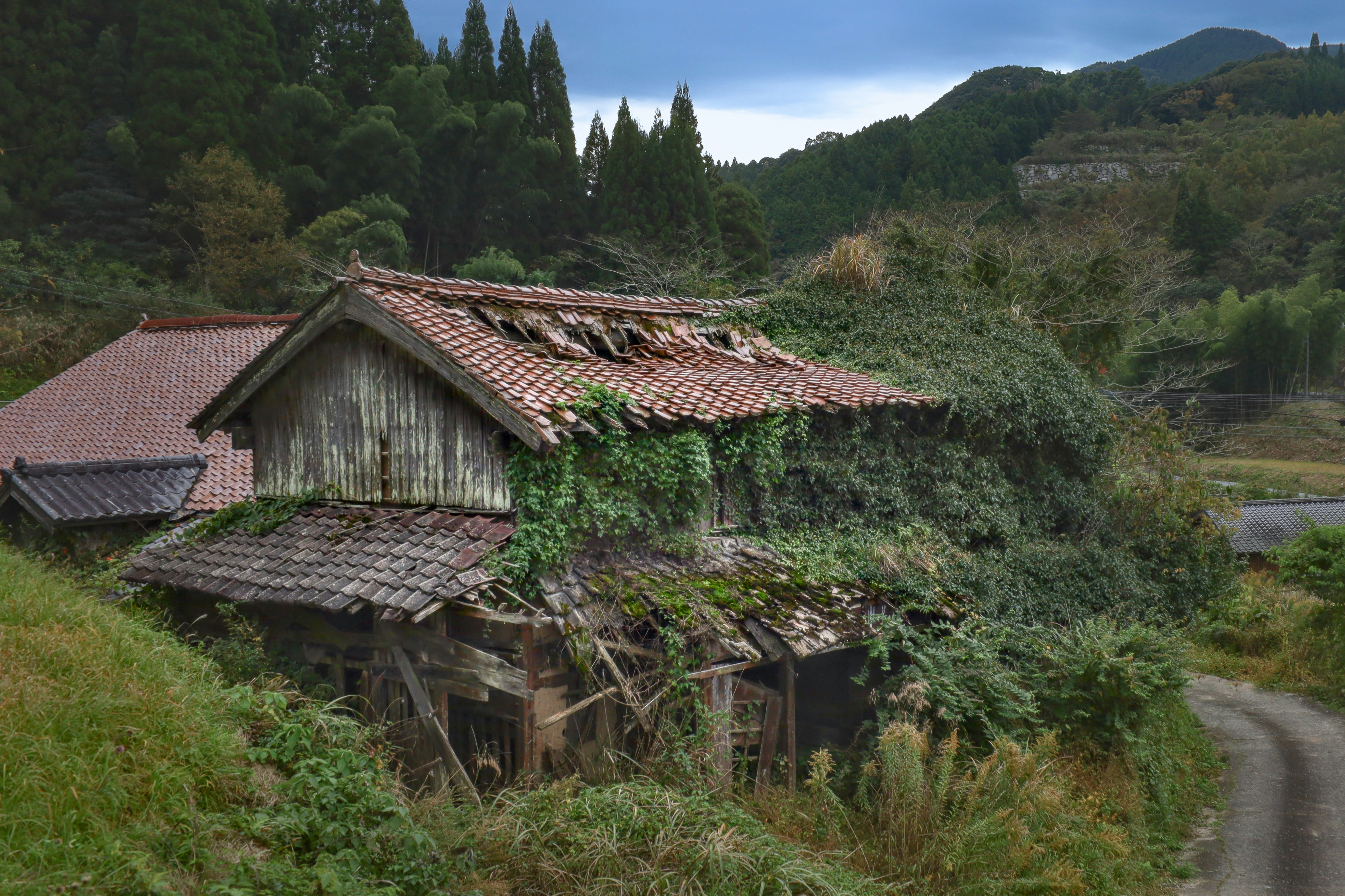 A collapsing overgrown countryside building