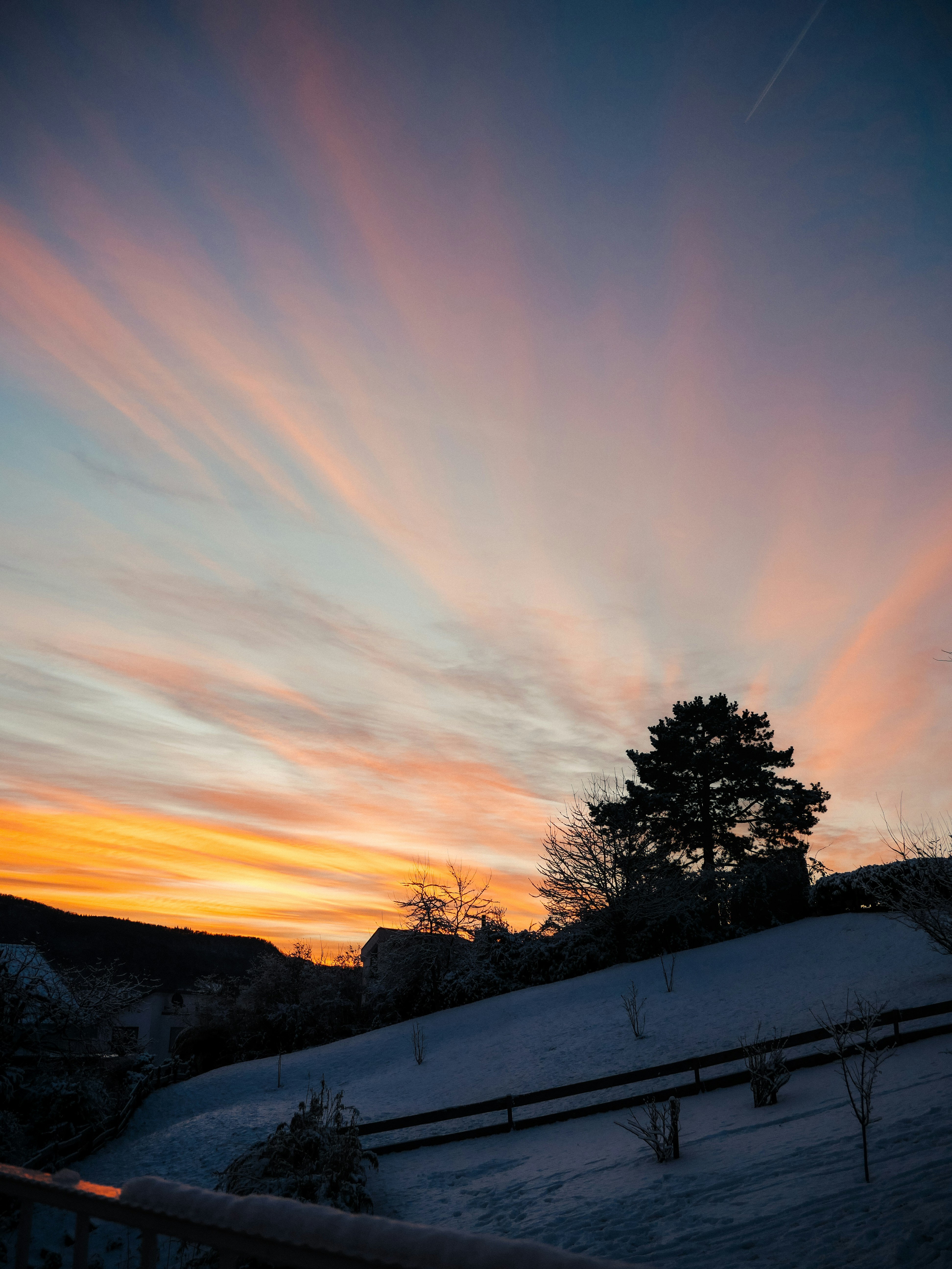 Sunset on a Snow-Blanketed Ridge with Silhouetted Pine