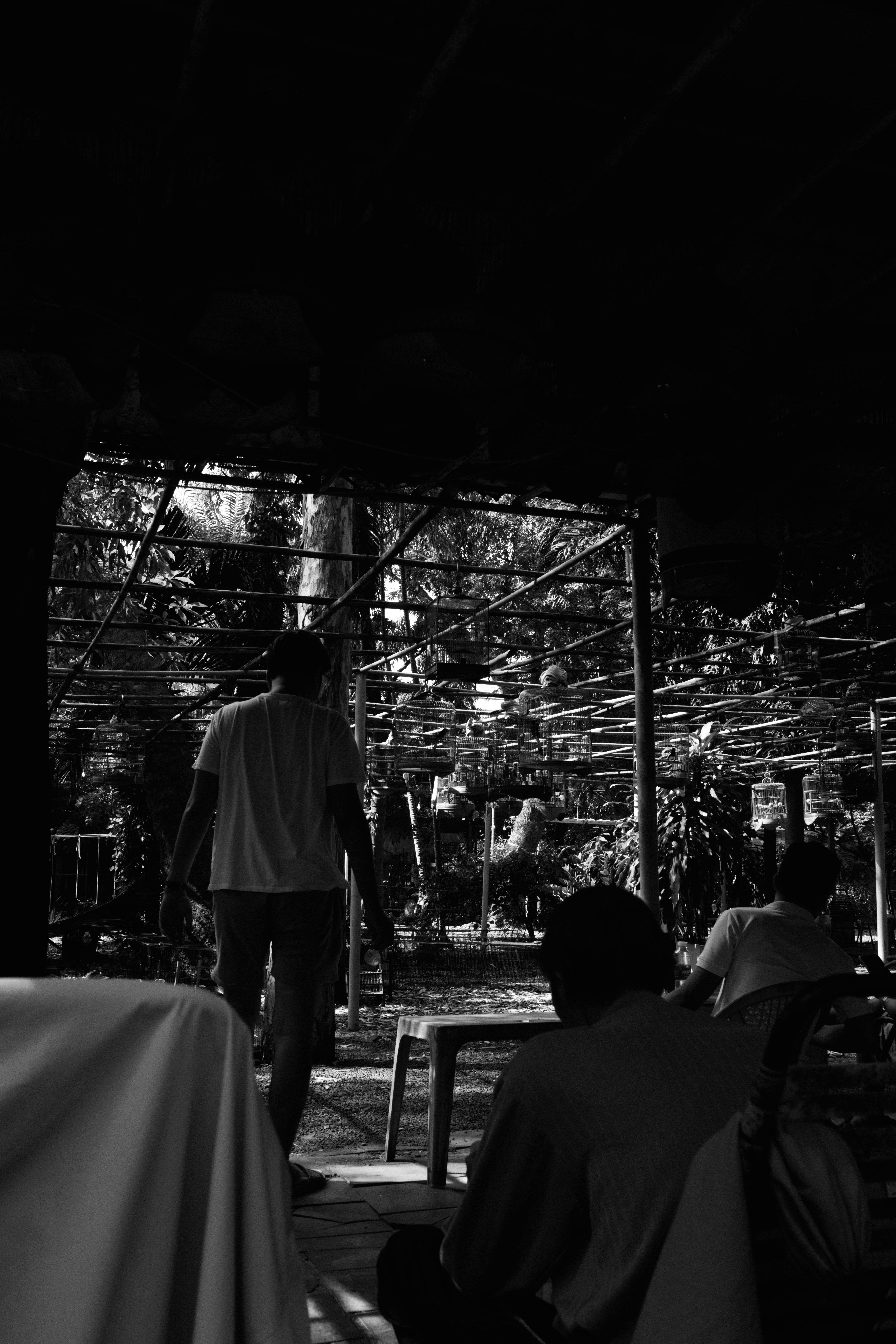 Backlit Figure in a Shaded Courtyard Under Tarped Canopy