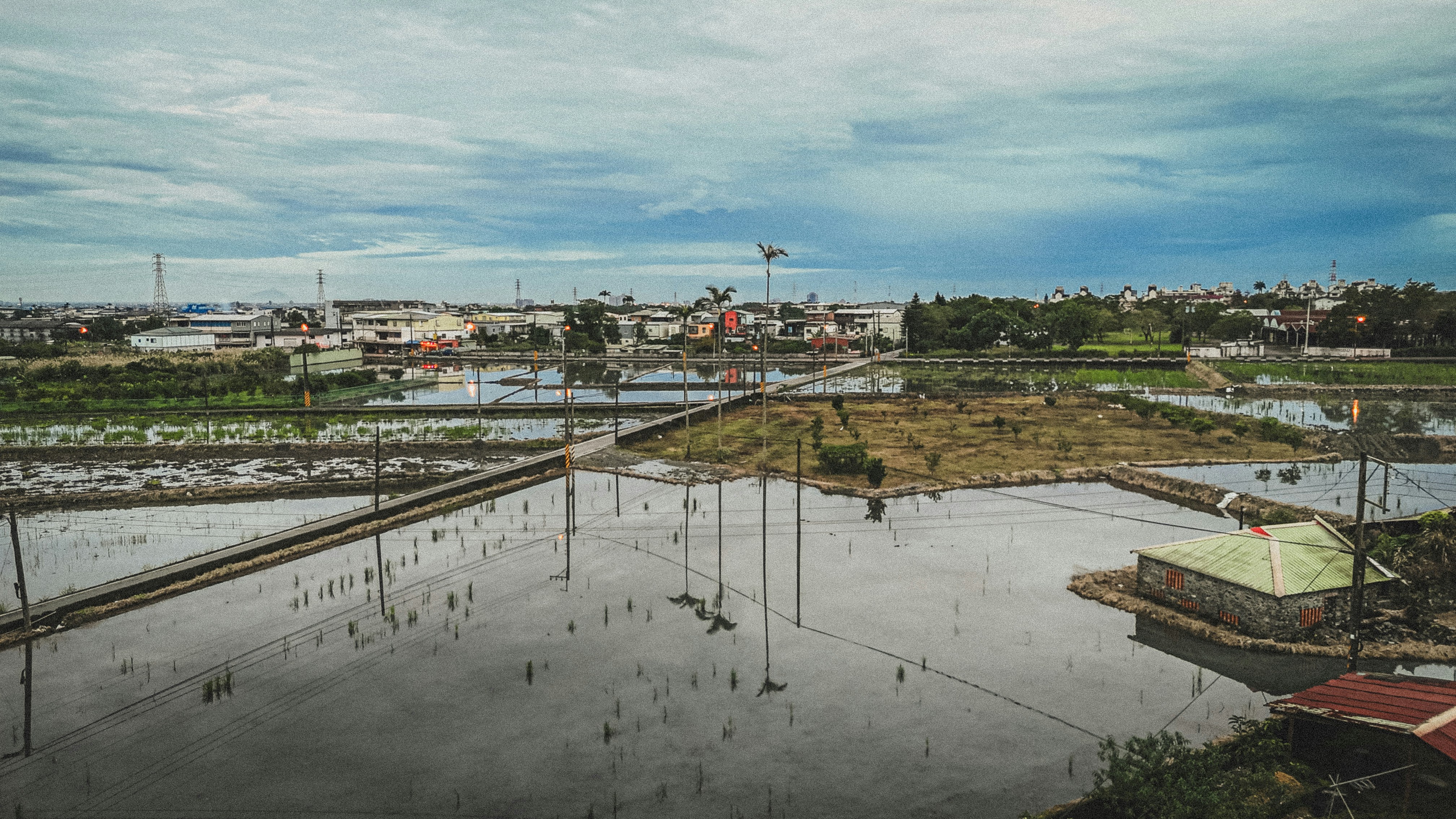 Flooded rice fields with buildings in the distance