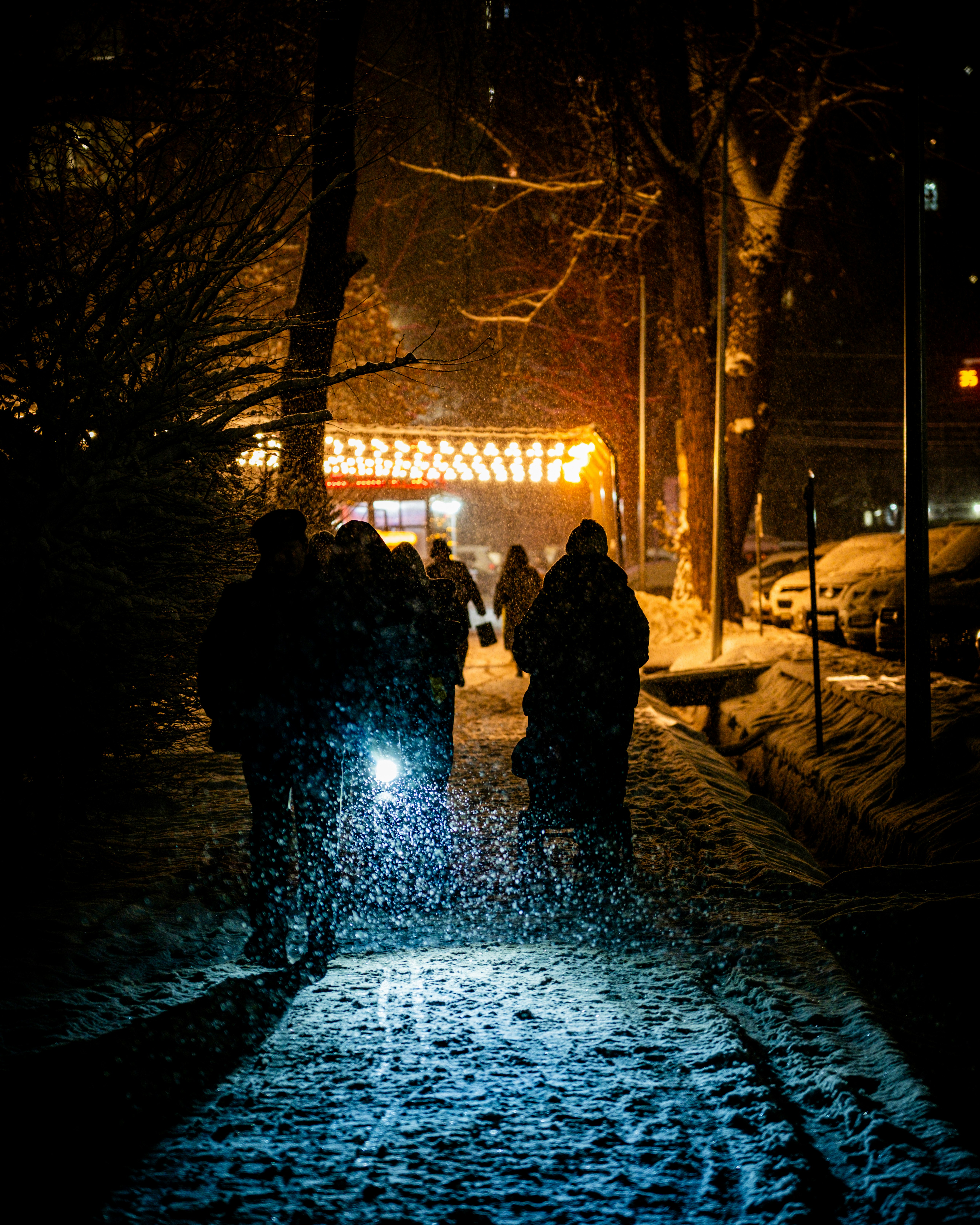 Snowlit Threshold: Night Walk Through a Glowing Campus Path