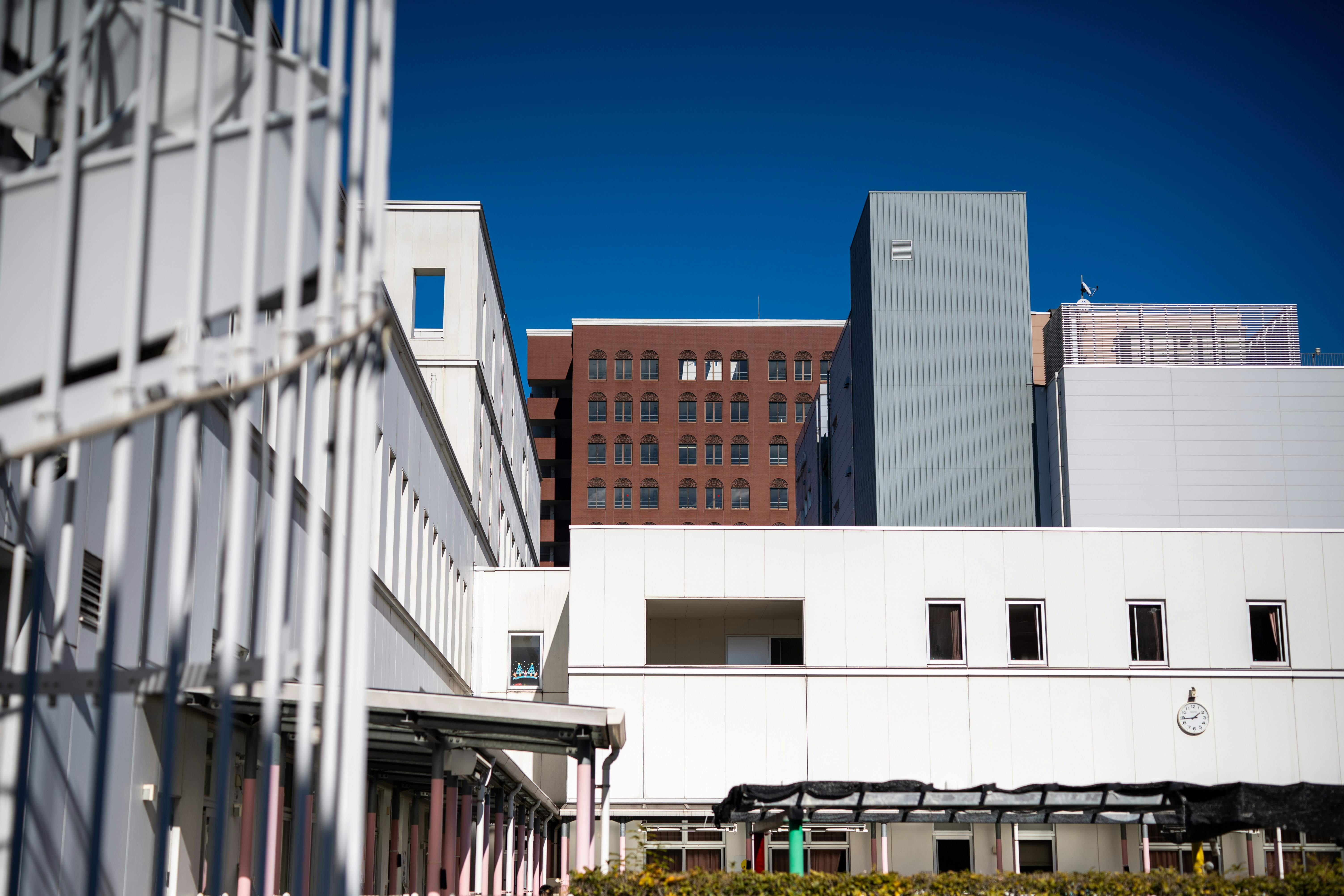 Photo by Kouji Tsuru with Nikon Z5 II