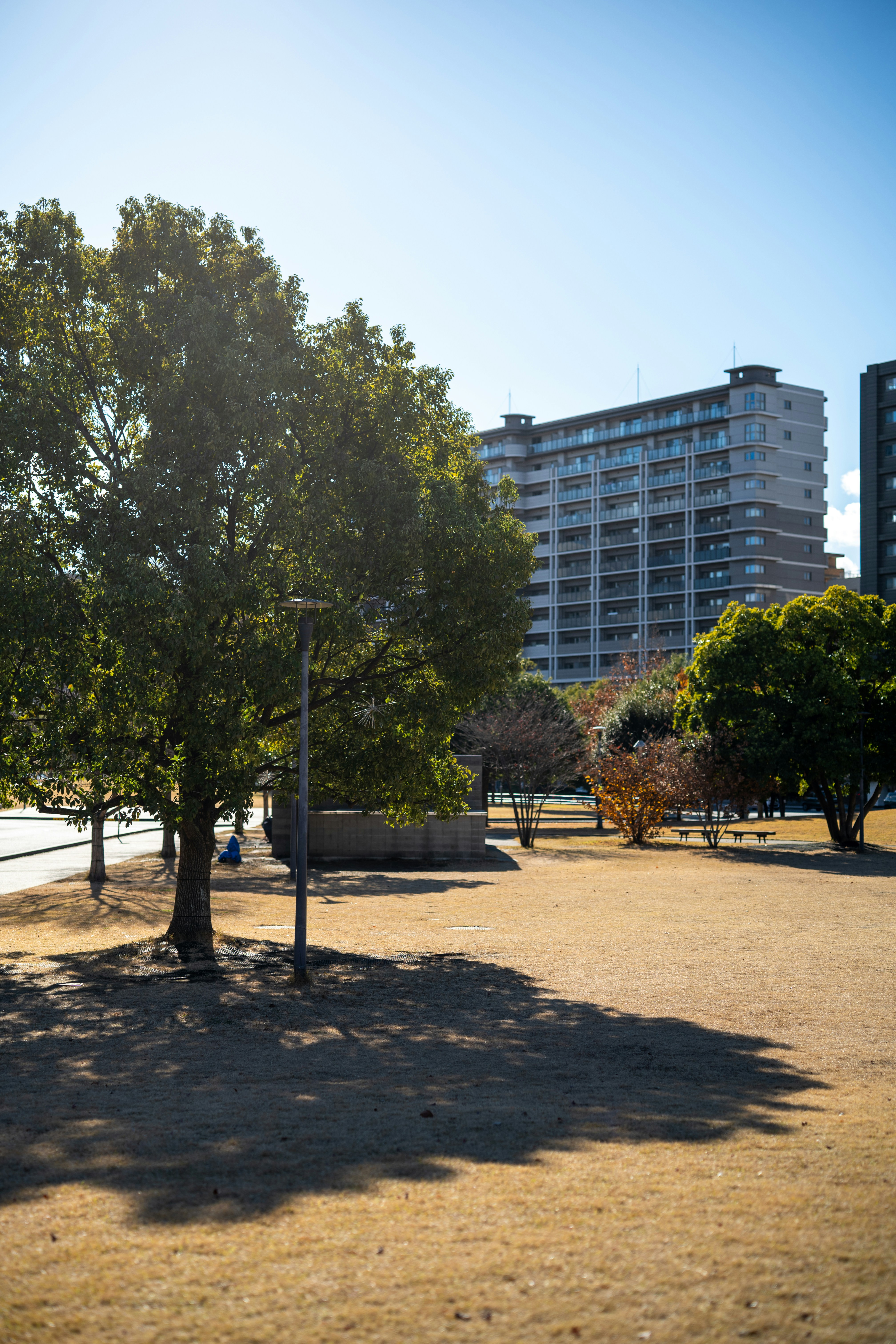 City Park in Late Summer Light Seesawing Between Trees and Concrete