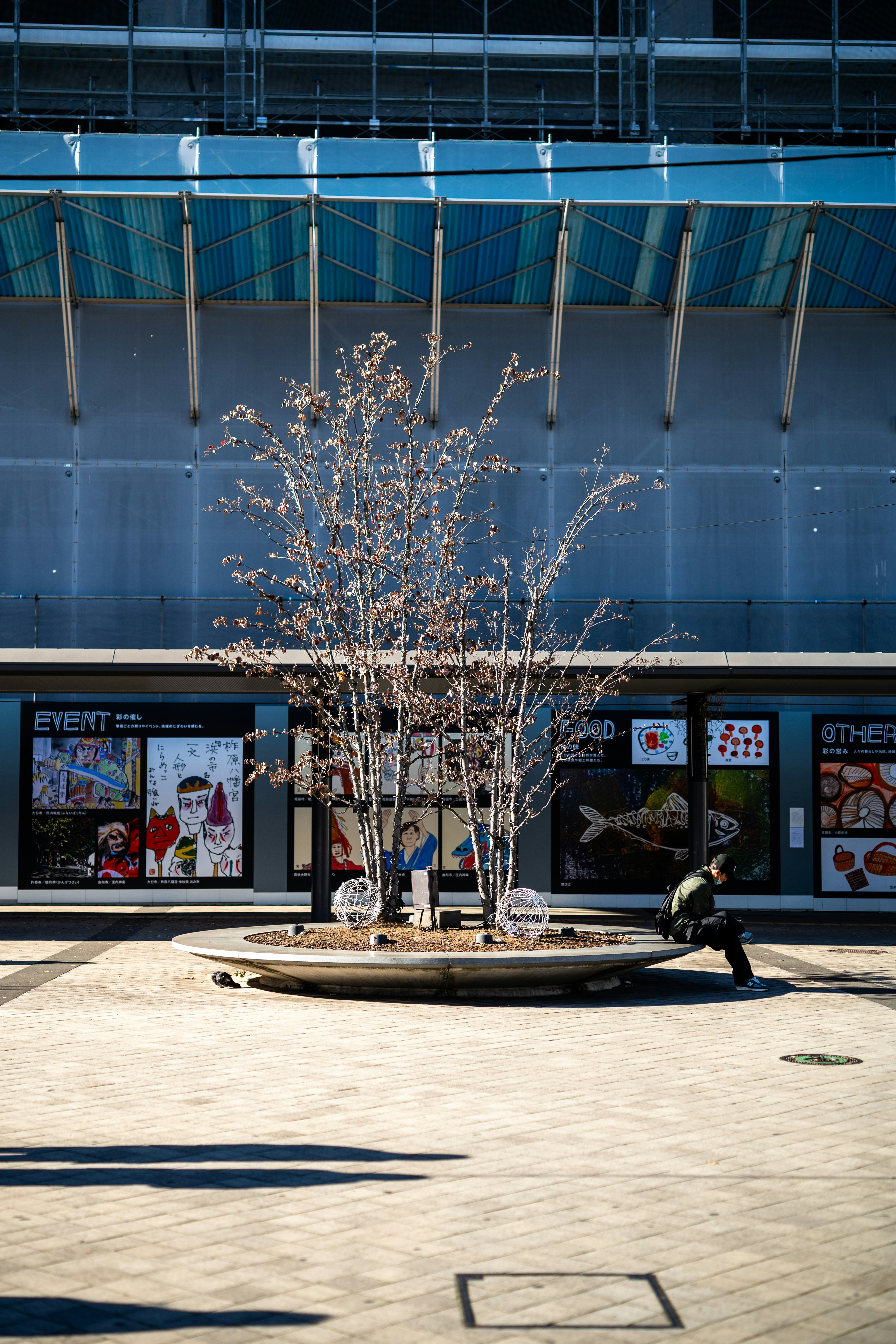 Photo by Kouji Tsuru with Nikon Z5 II