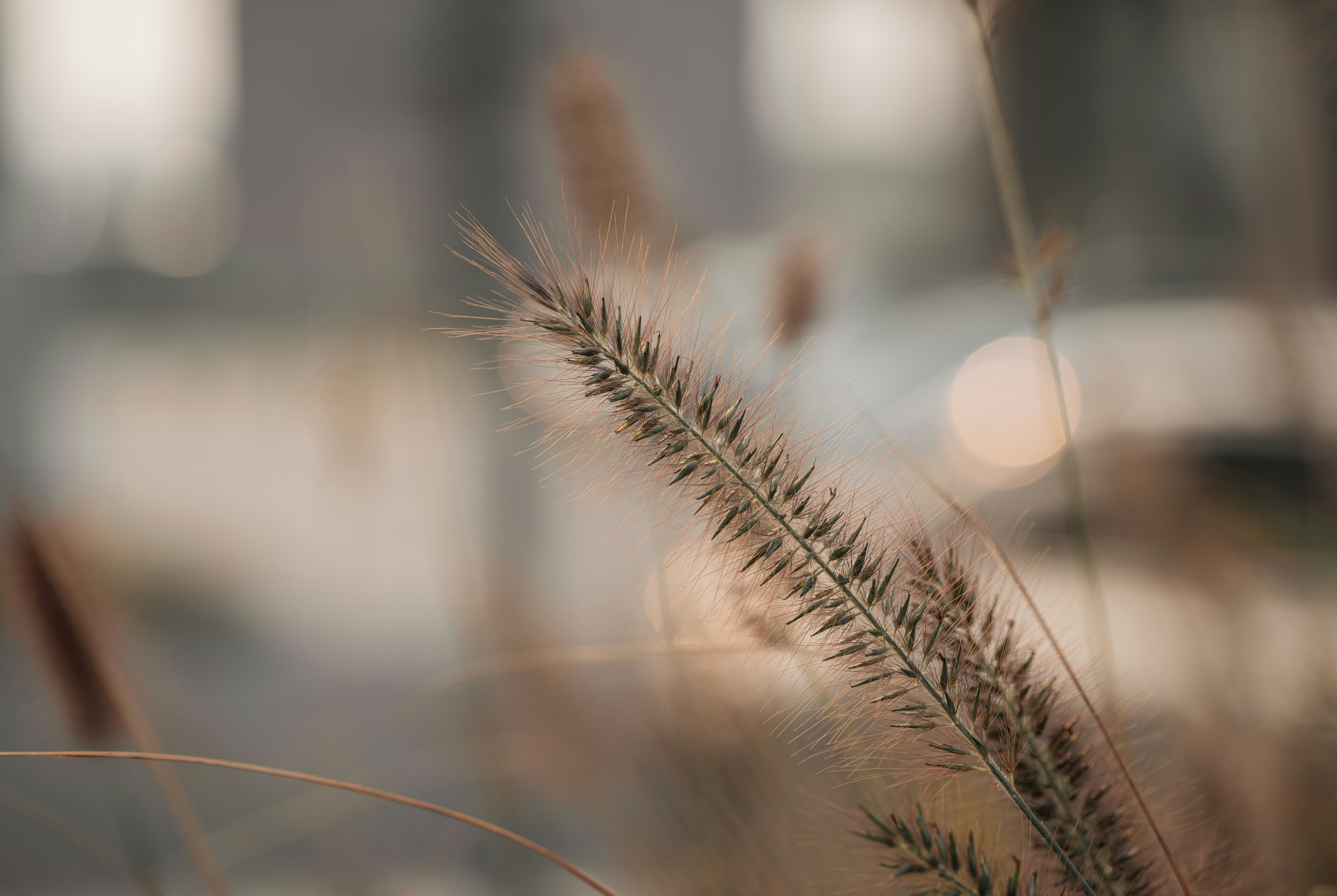 Photo by Declan Sun with Sony Alpha 7R V