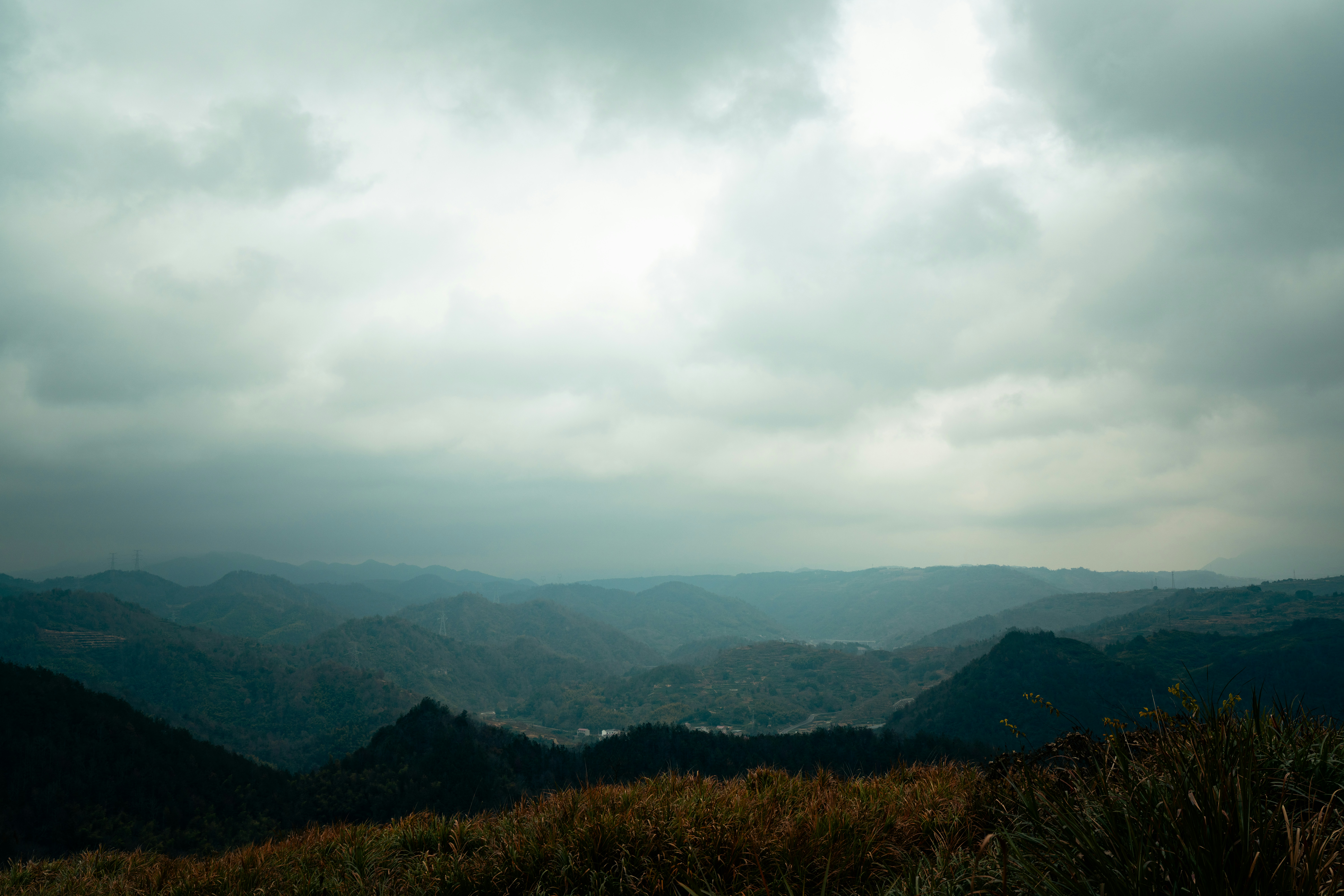 Photo by Declan Sun with Sony Alpha 7R V