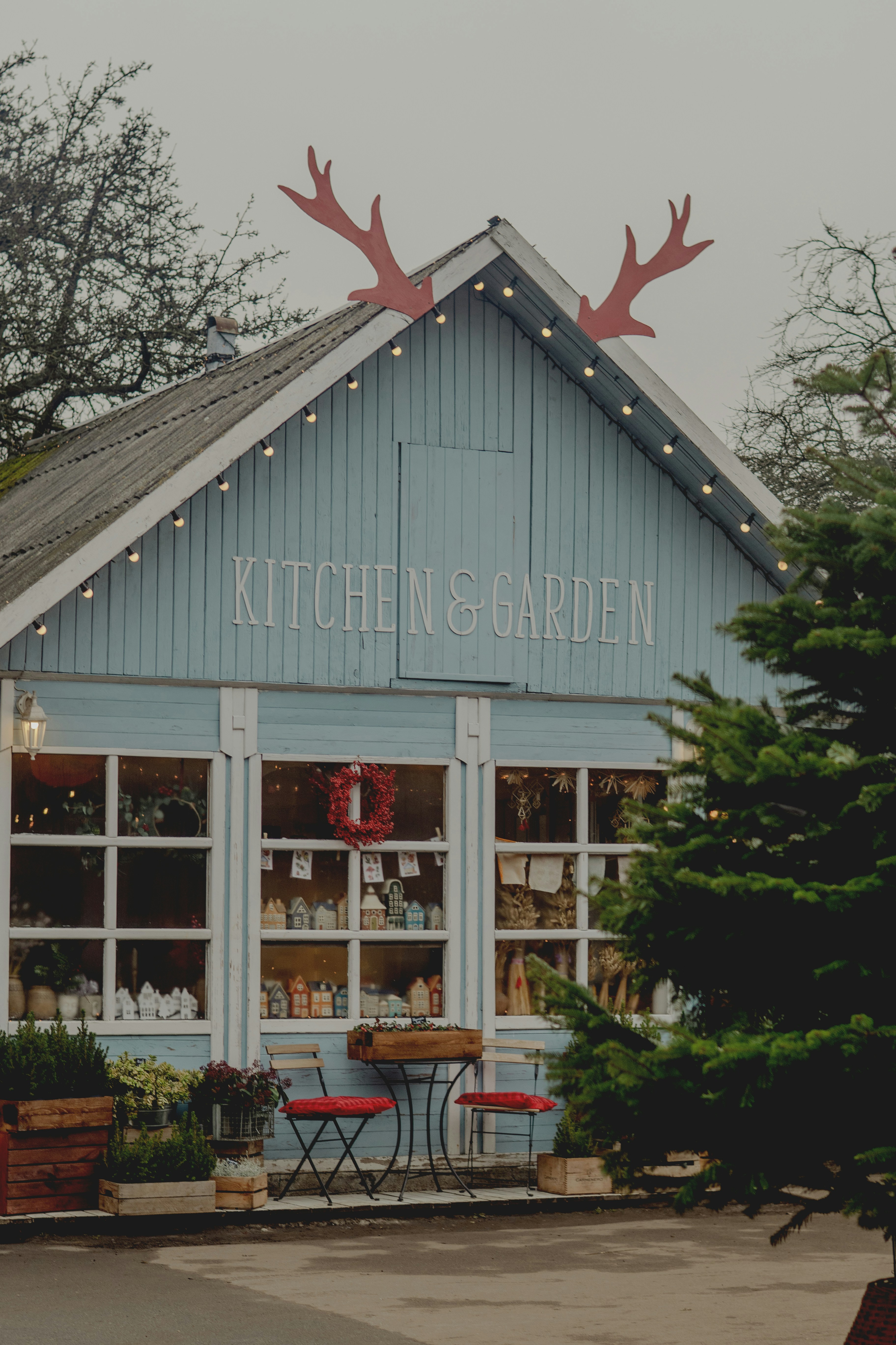 Photo by Eugenia Pan'kiv with Nikon Zfc