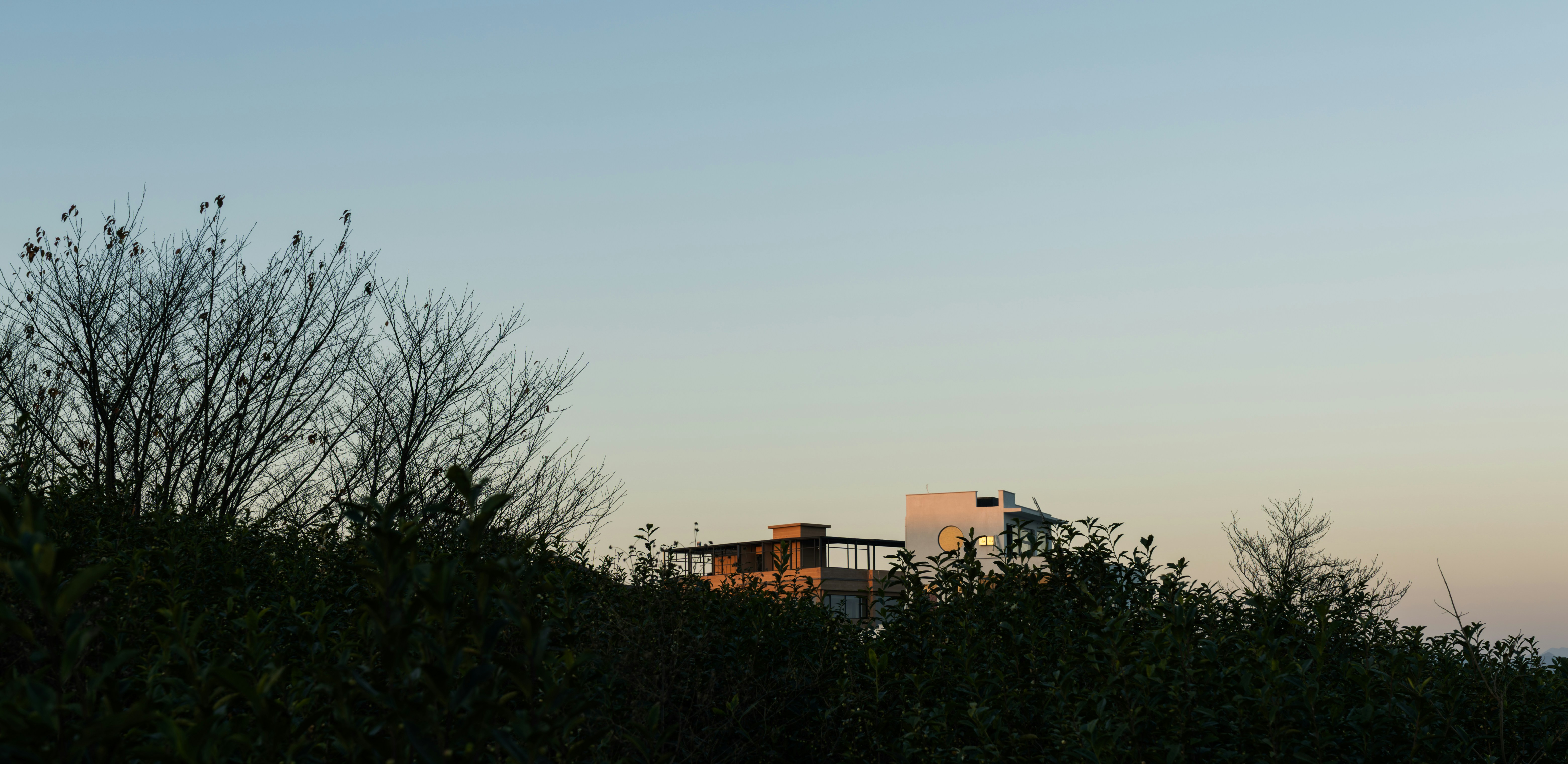 Photo by Declan Sun with Sony Alpha 7R V