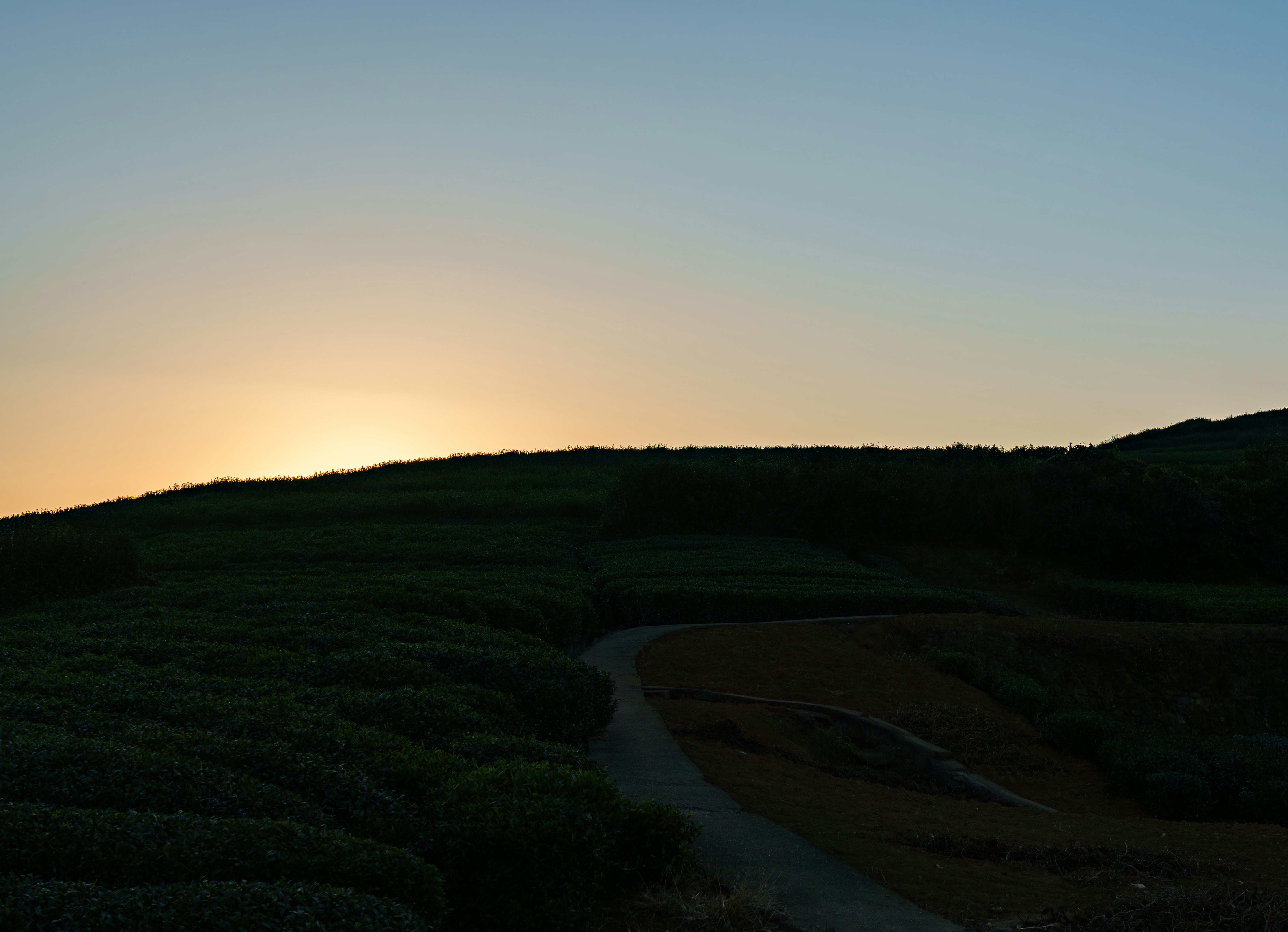 Dusk Over a Quiet Ridge