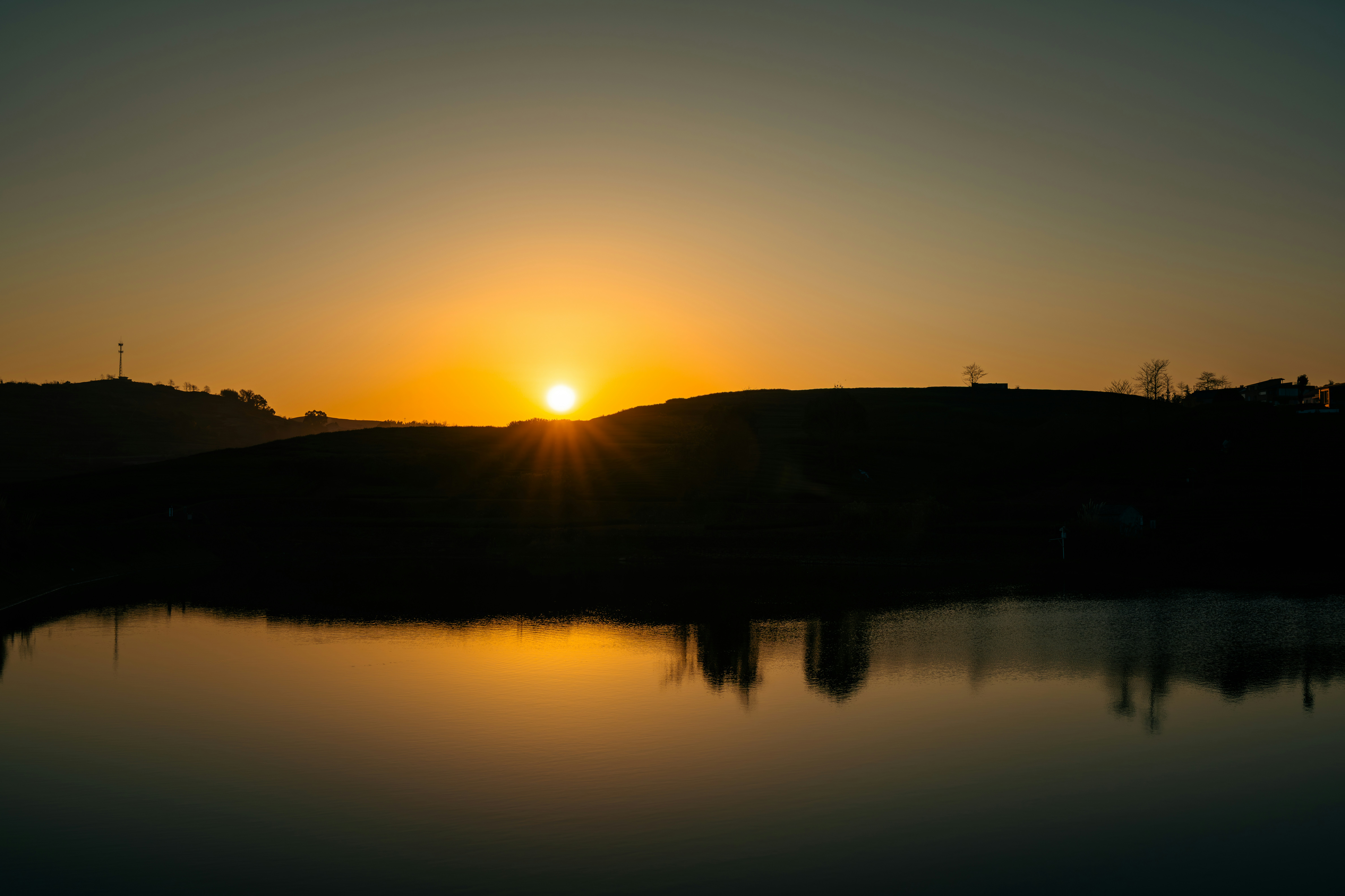 Photo by Declan Sun with Sony Alpha 7R V