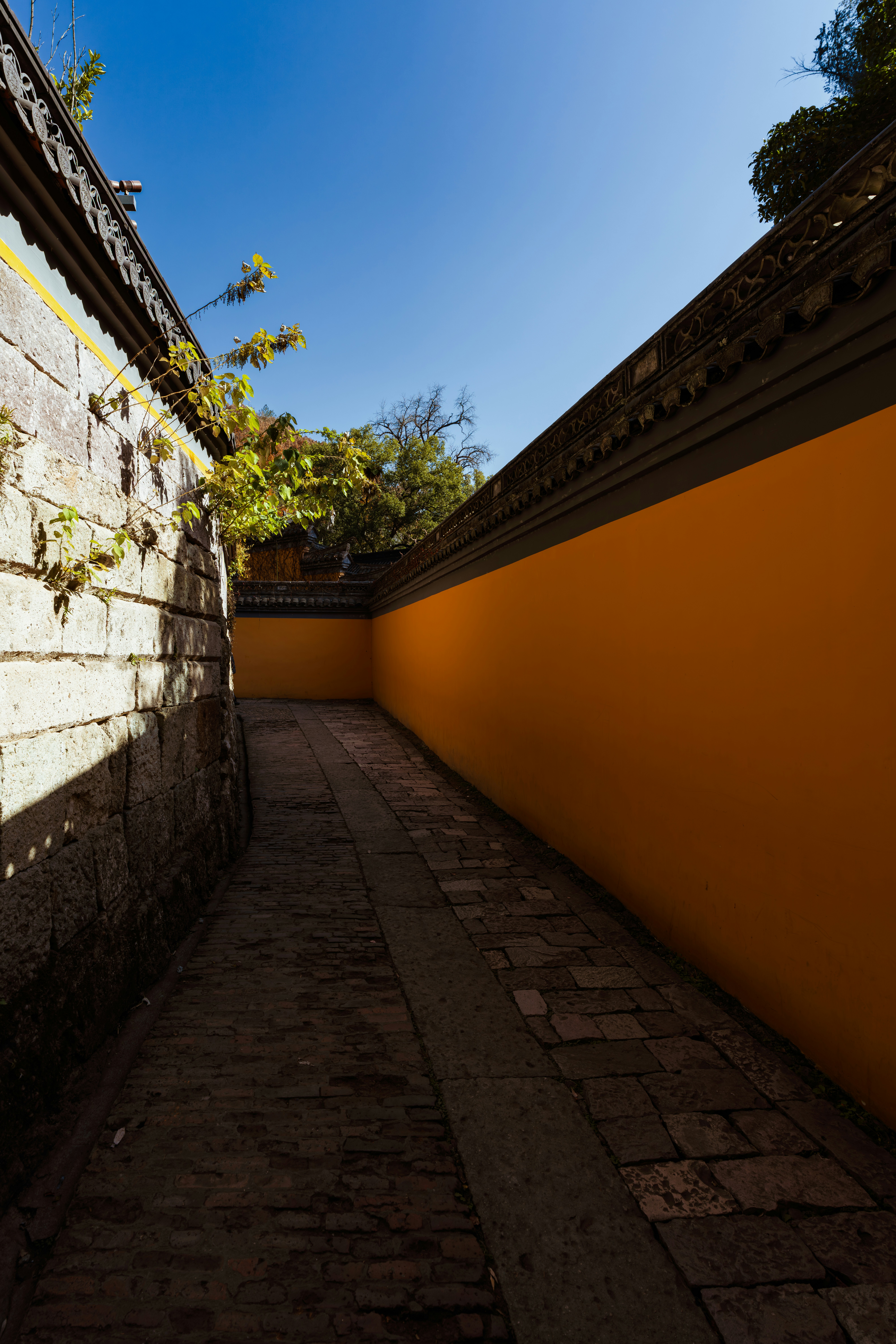 Golden Corridor: A Quiet Passage Between Ancient Walls