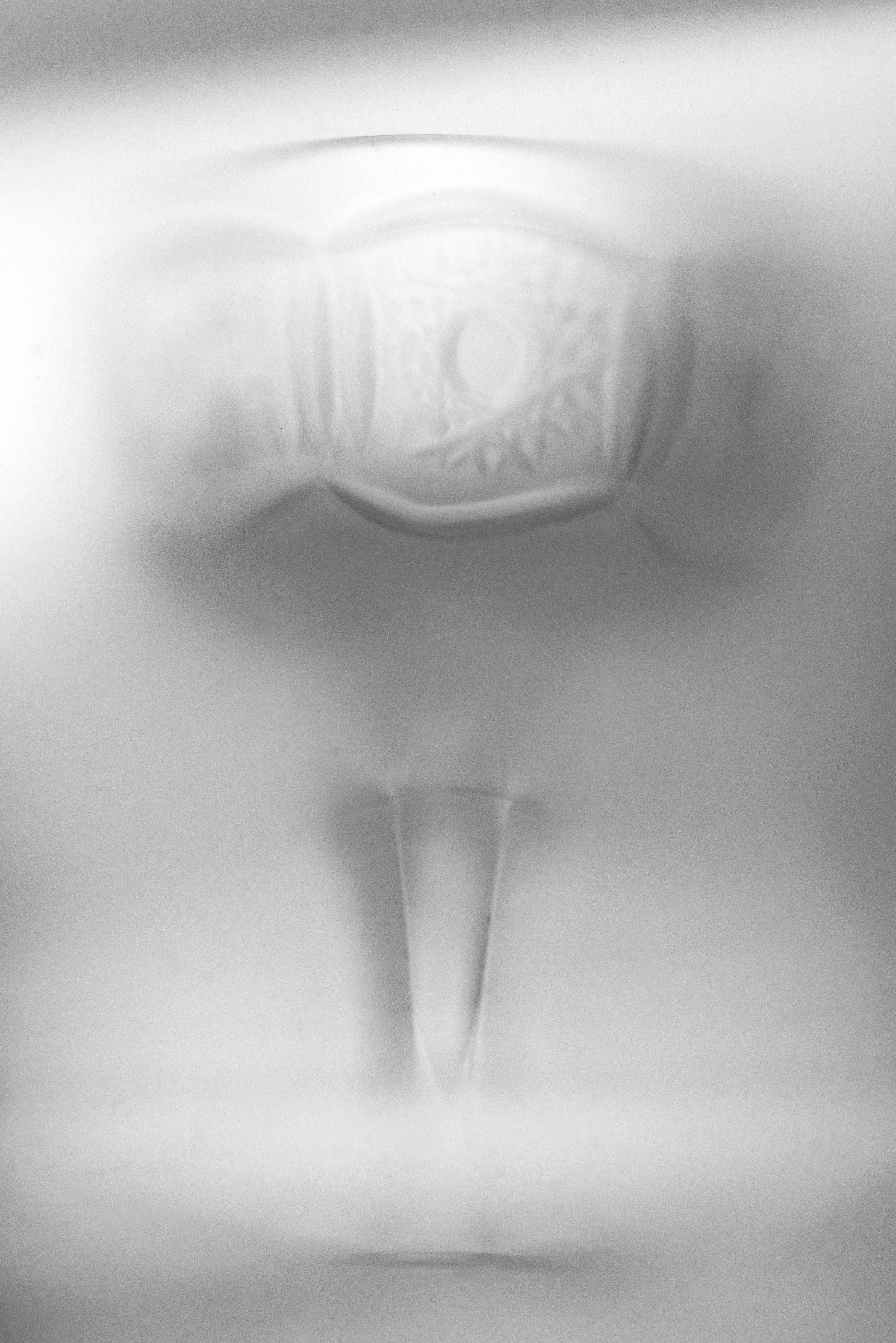 Frosted Emblem: A Blur of Light and Form