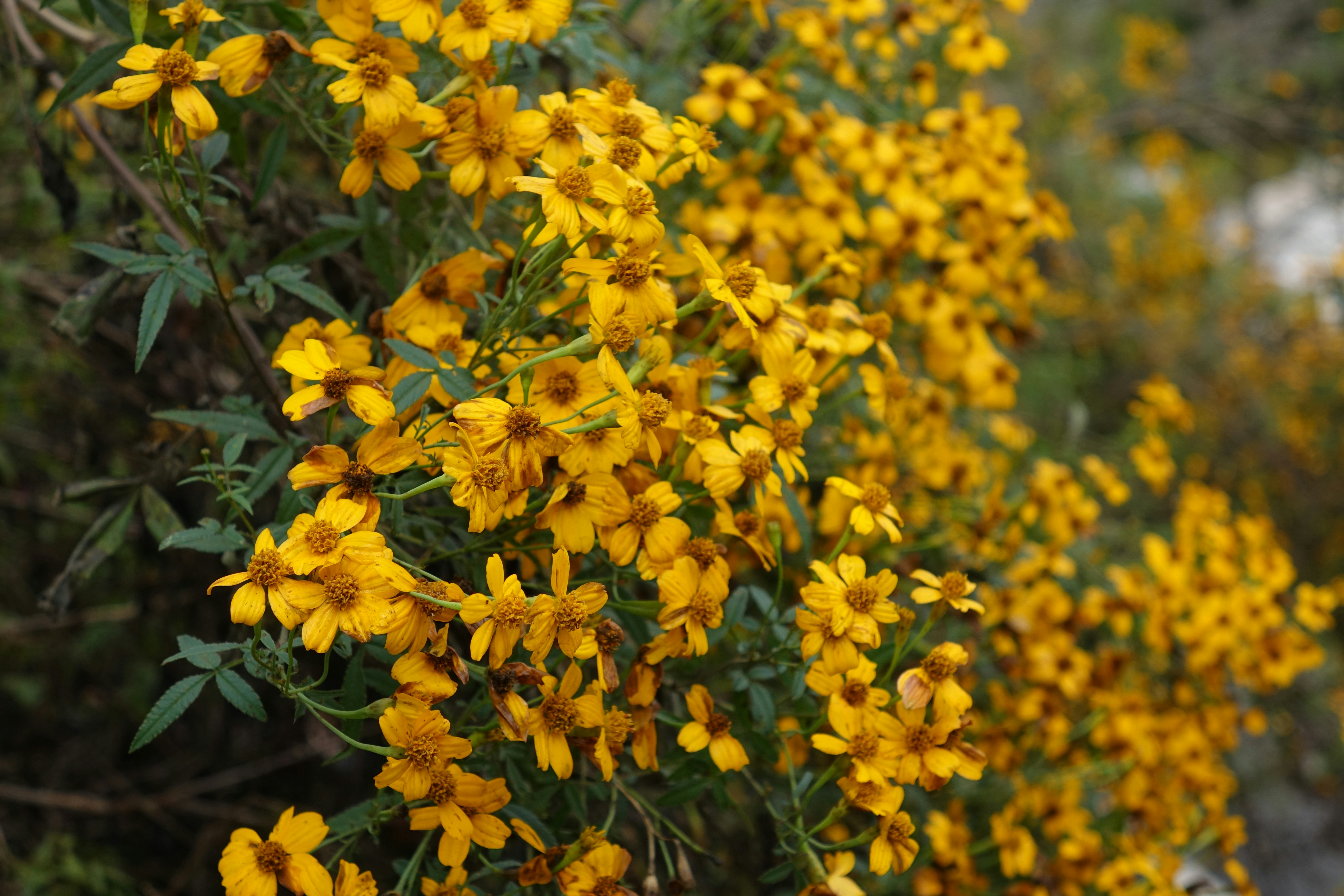 Arthur Tseng (@arthur3607) | Komunitas Foto Unsplash