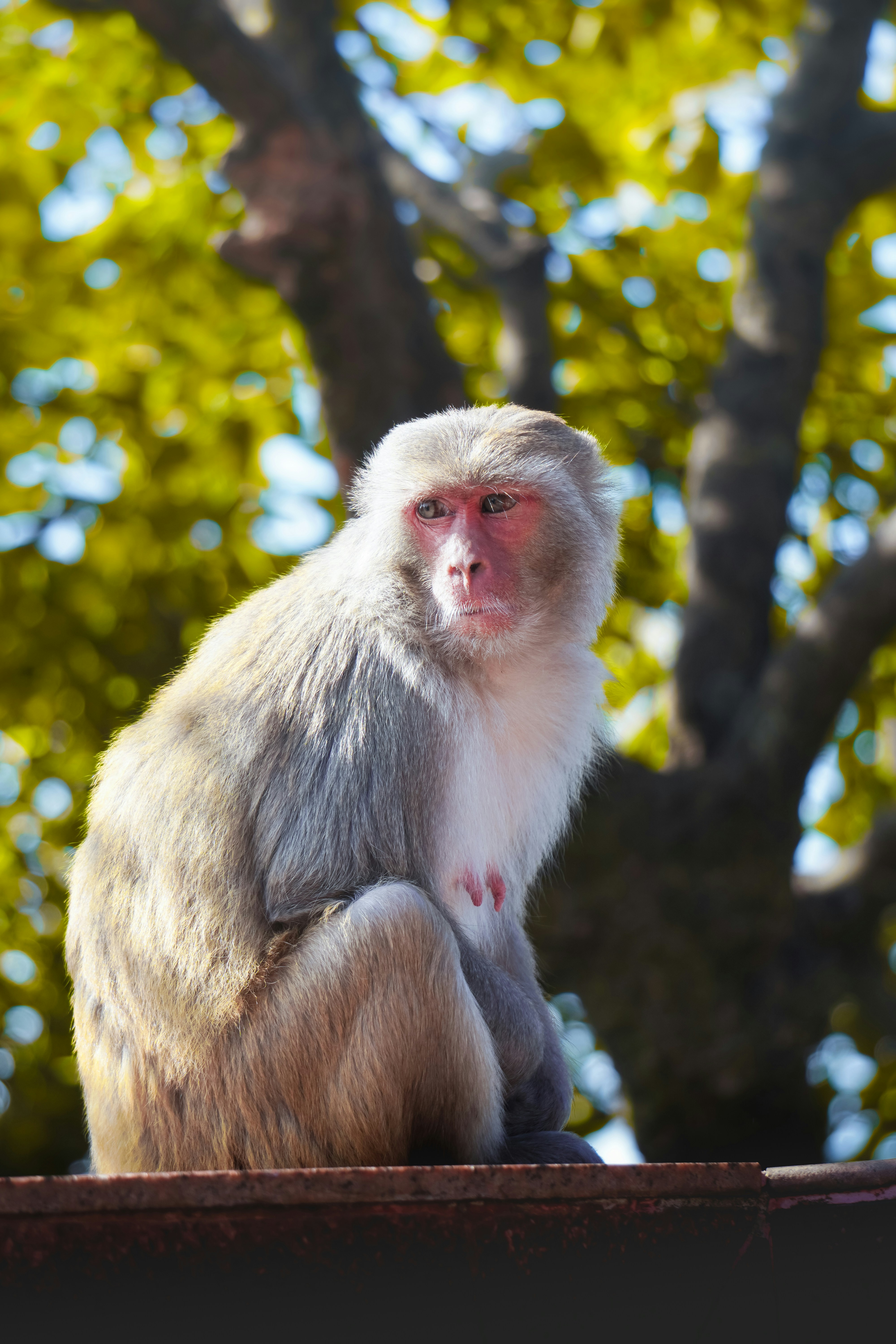 Photo by Ashish Kushwaha with Sony Alpha 6100