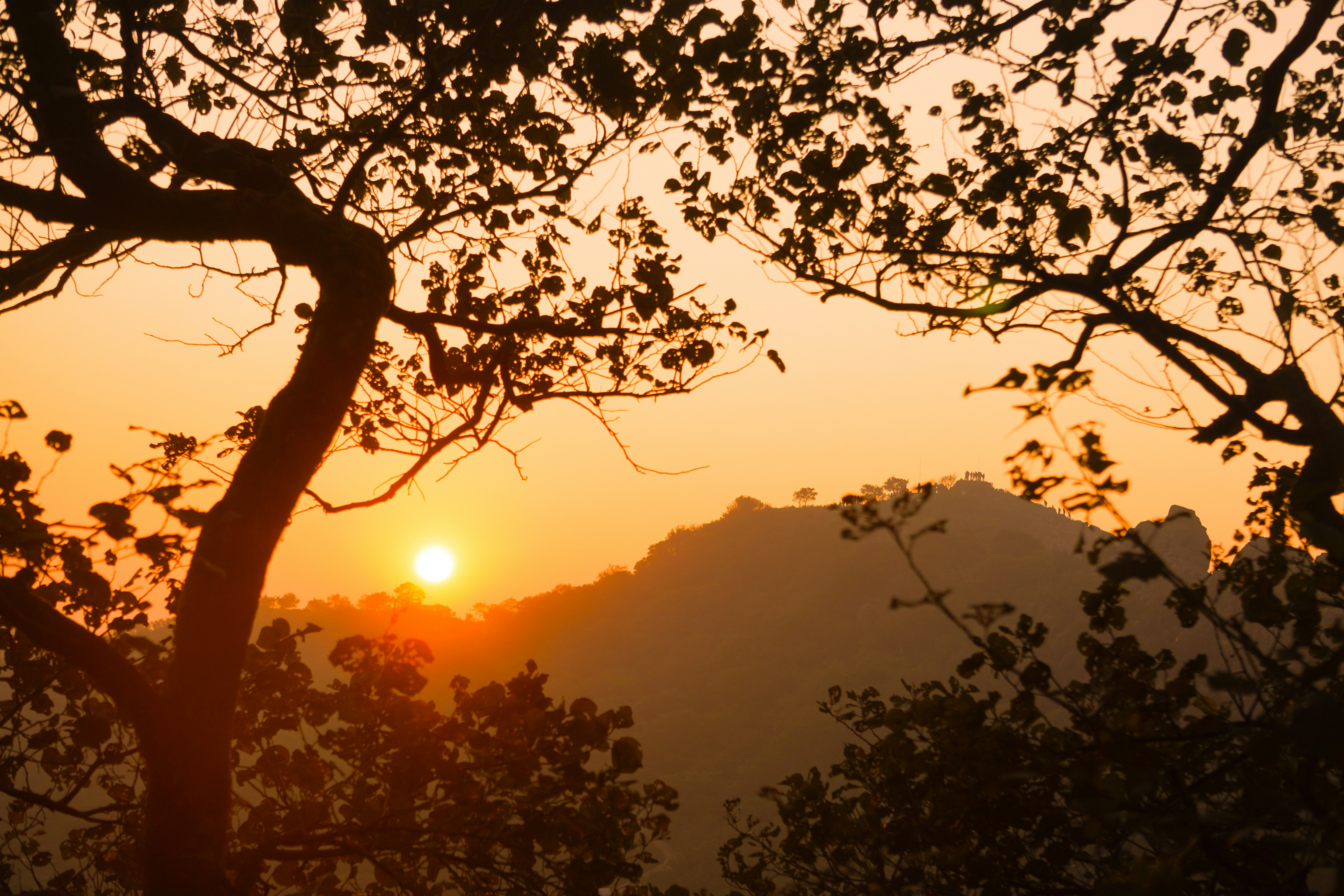 Photo by Ashish Kushwaha with Sony Alpha 6100