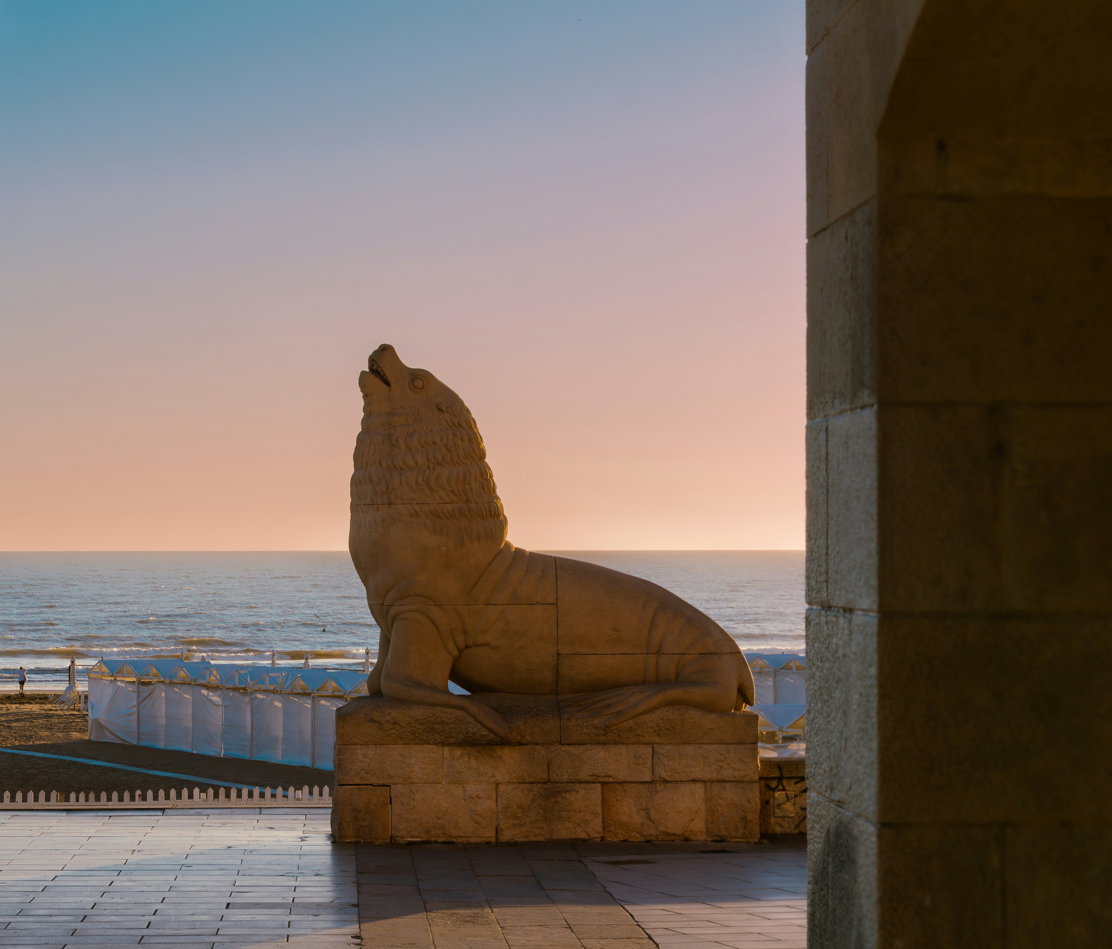 Photo by Micaela Sosa with Canon EOS 700D