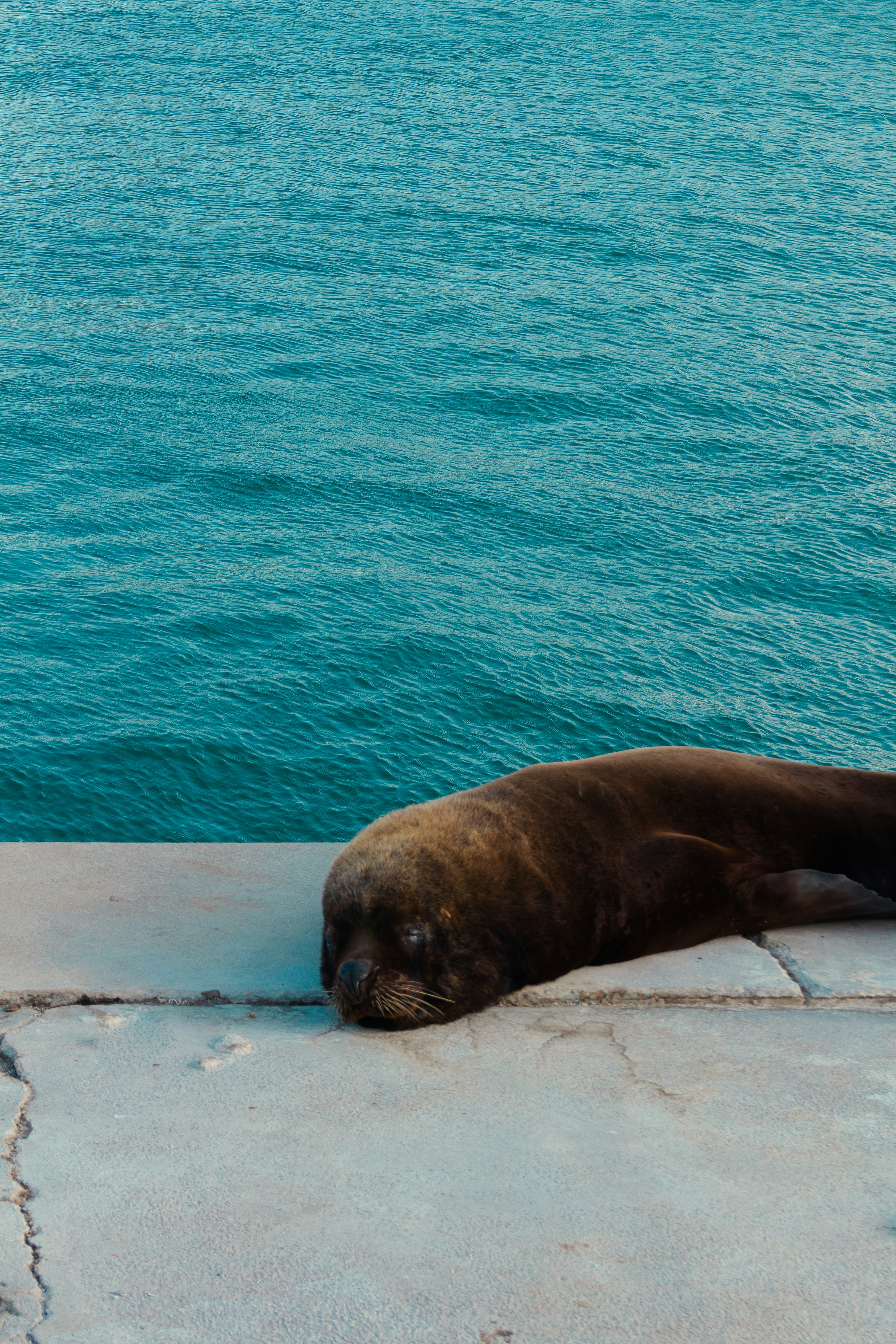 Photo by Micaela Sosa with Canon EOS 700D