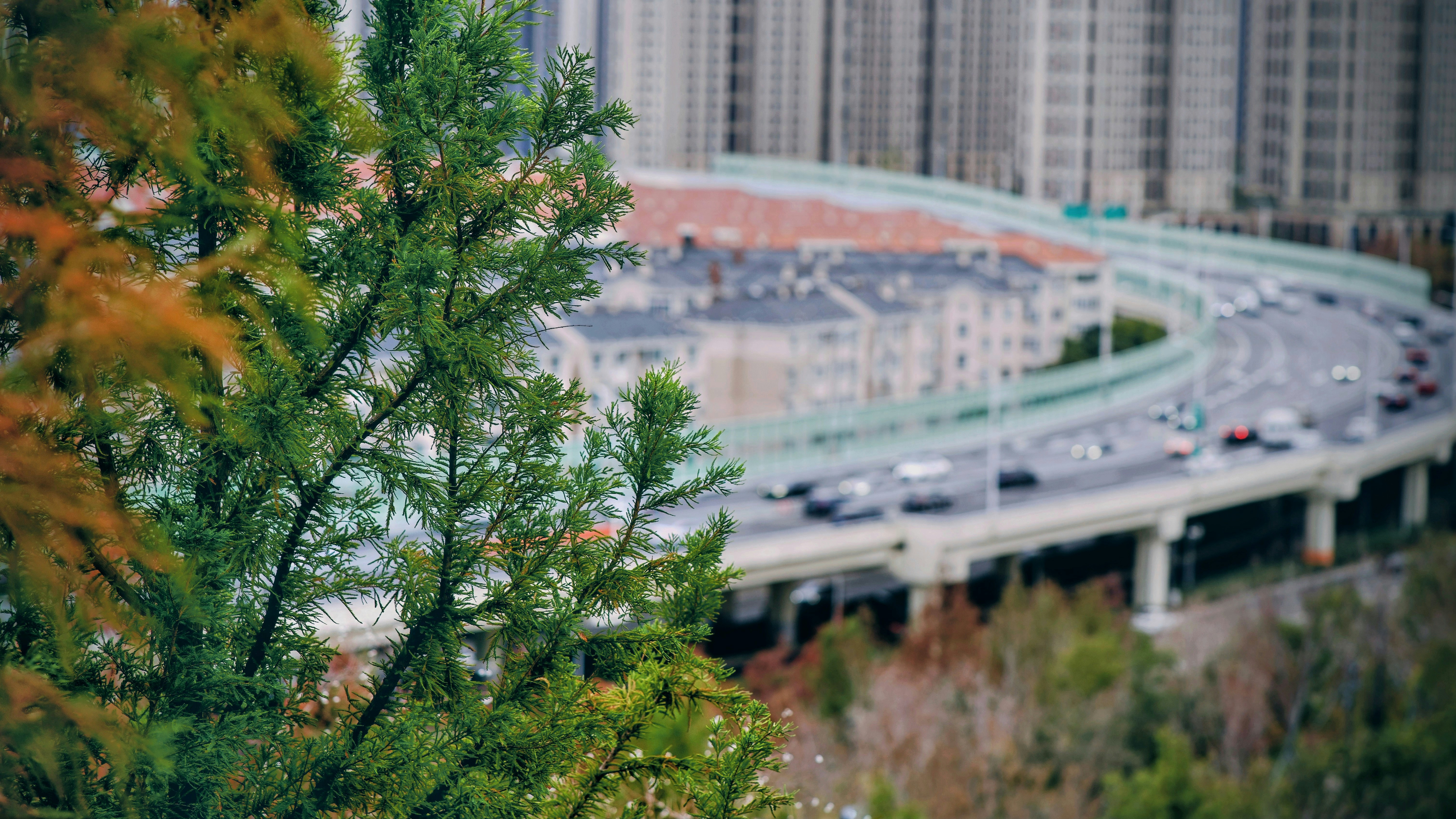 Cars on a curved highway overpass with buildings. photo – Free Travel ...