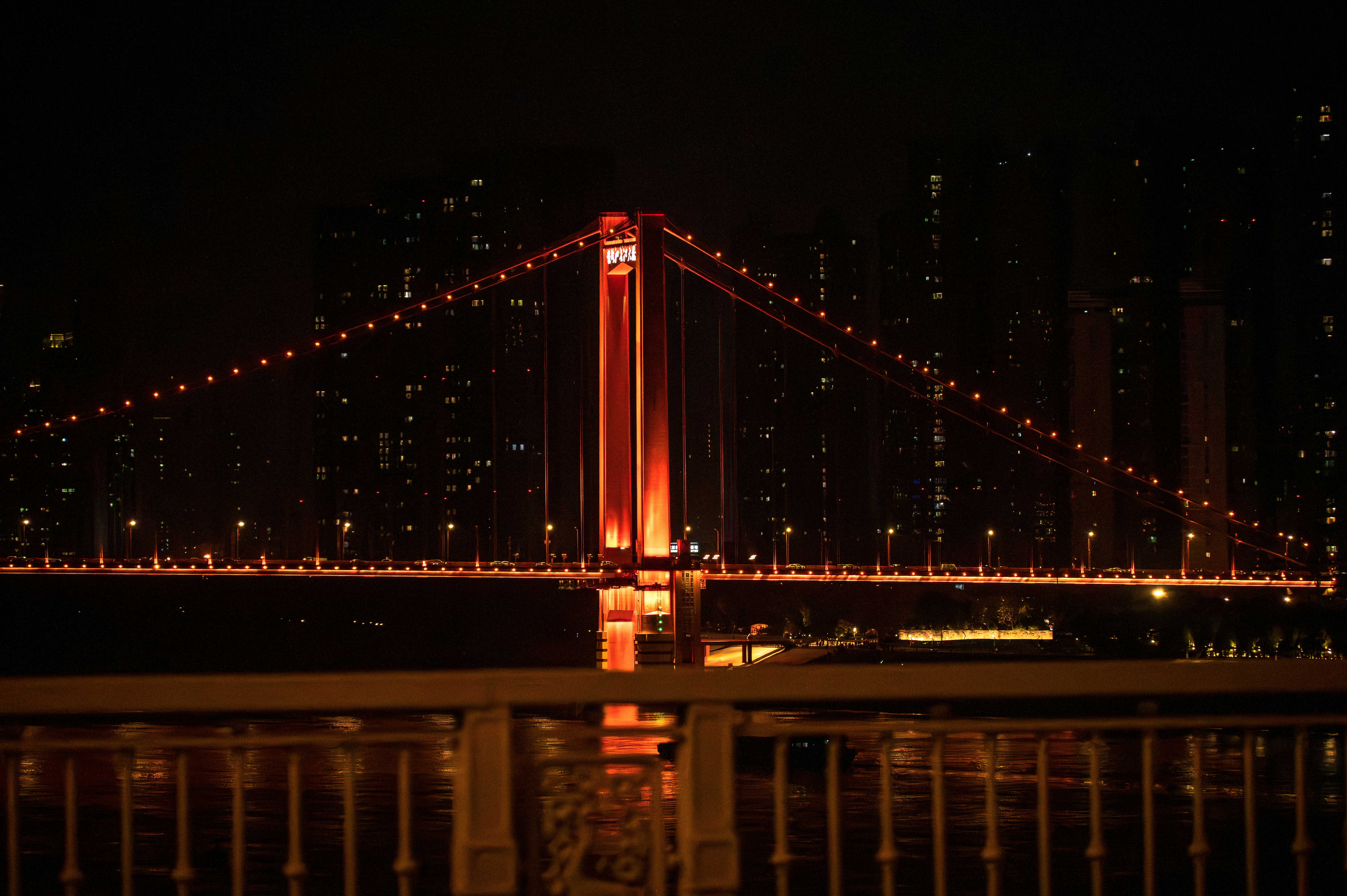 Photo by Kilian Murphy with Nikon Z6 II