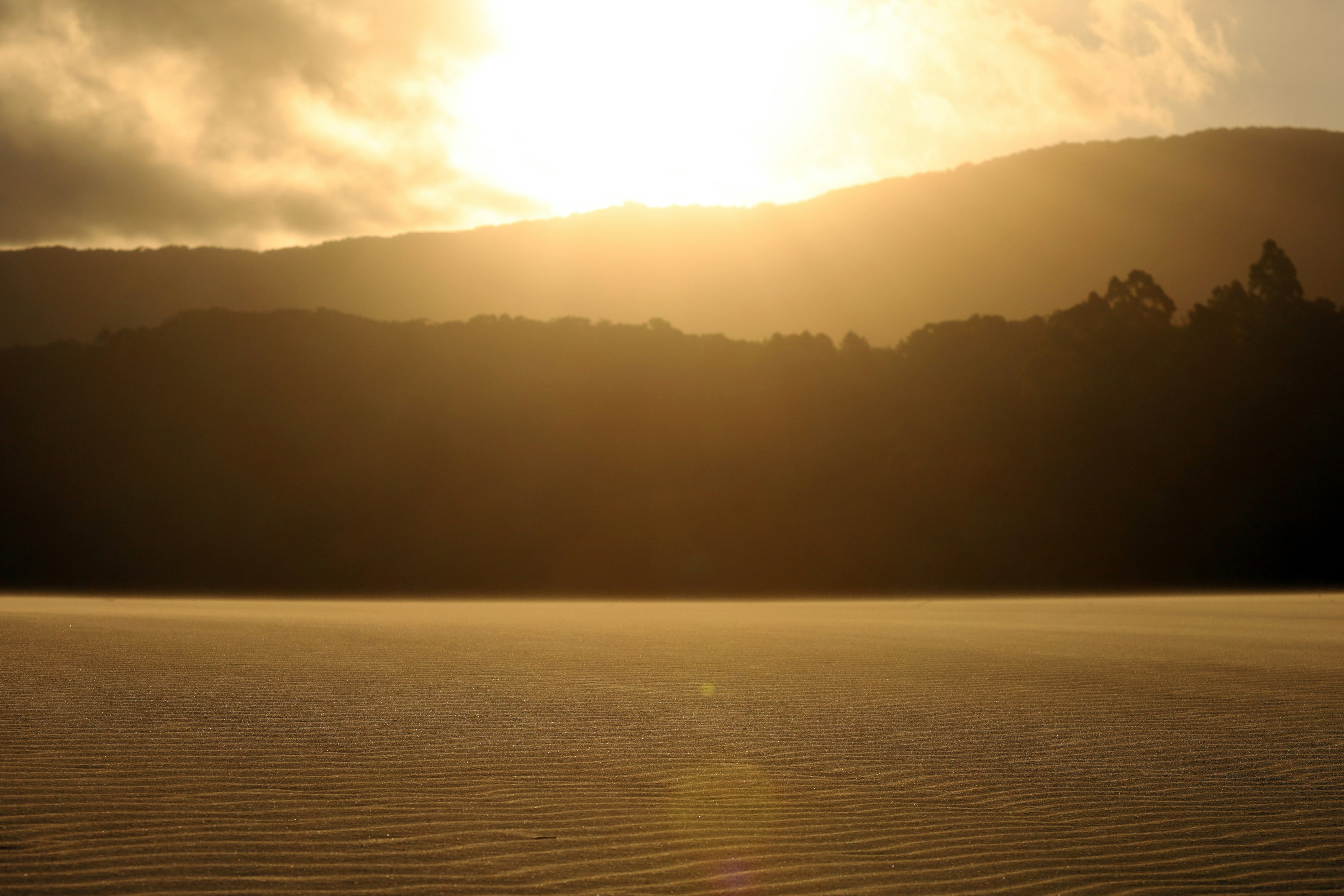 Golden Hour over Quiet Dunes