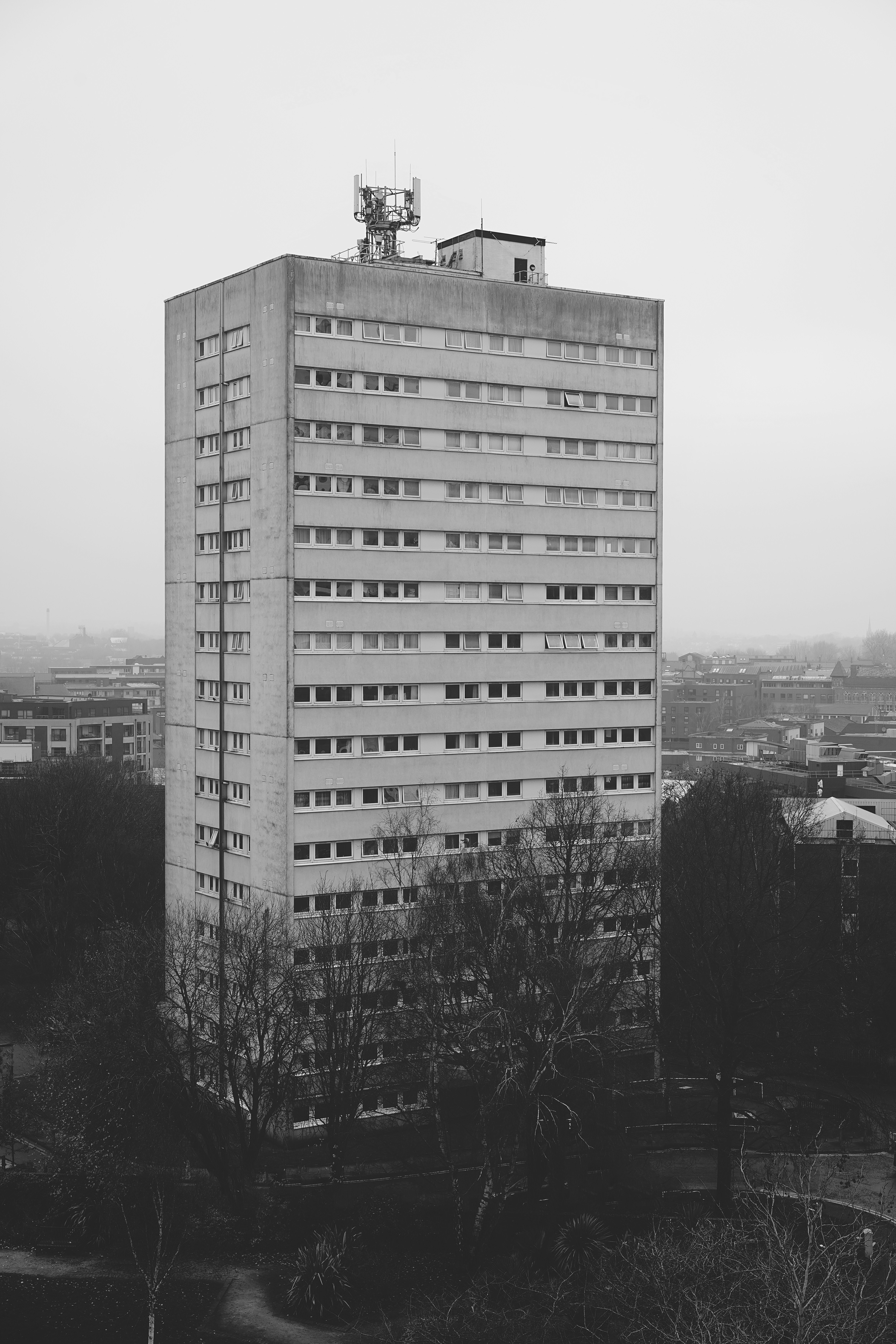 Vertical Monolith: A Quiet City Tower Rises Over Winter Trees