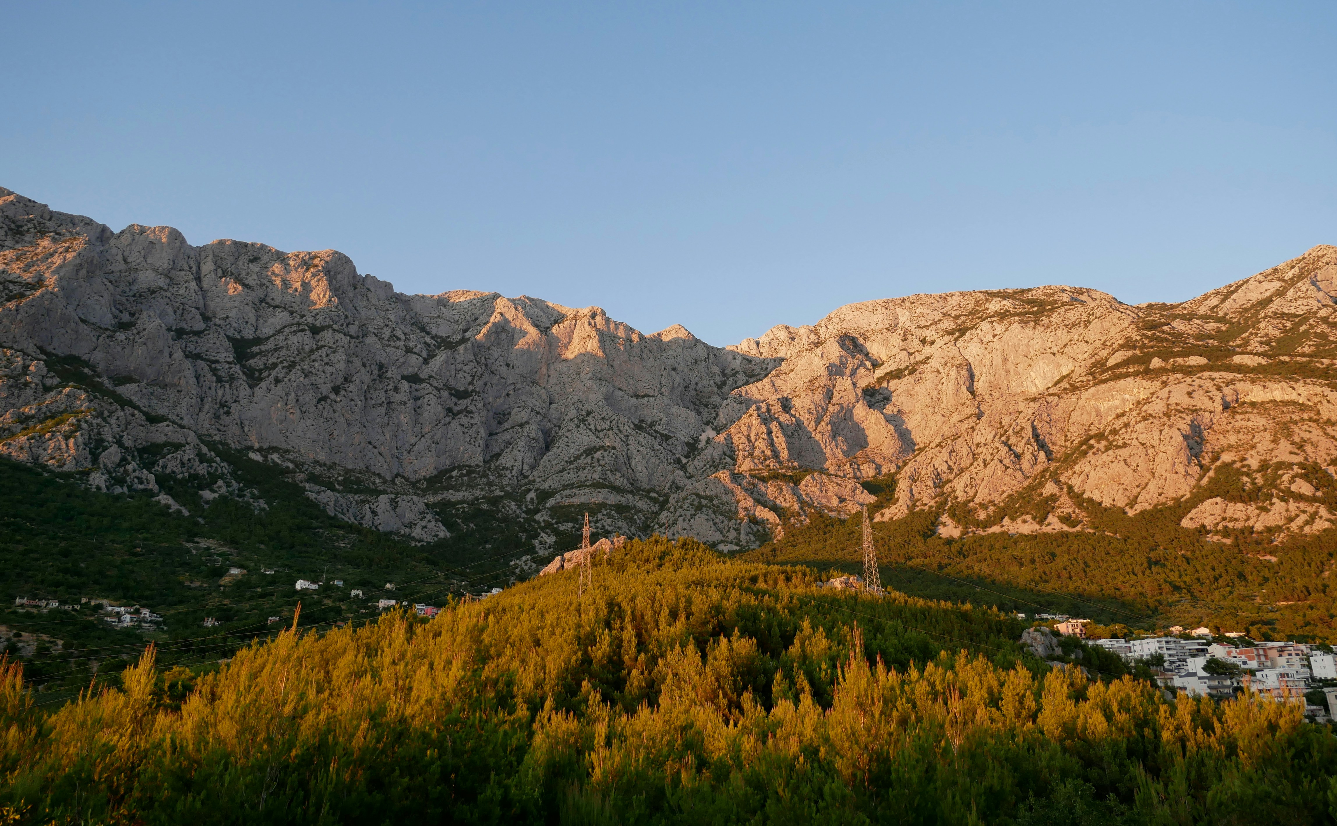 Golden Ridge at Dusk: Mountain Range Meeting a Field of Pine