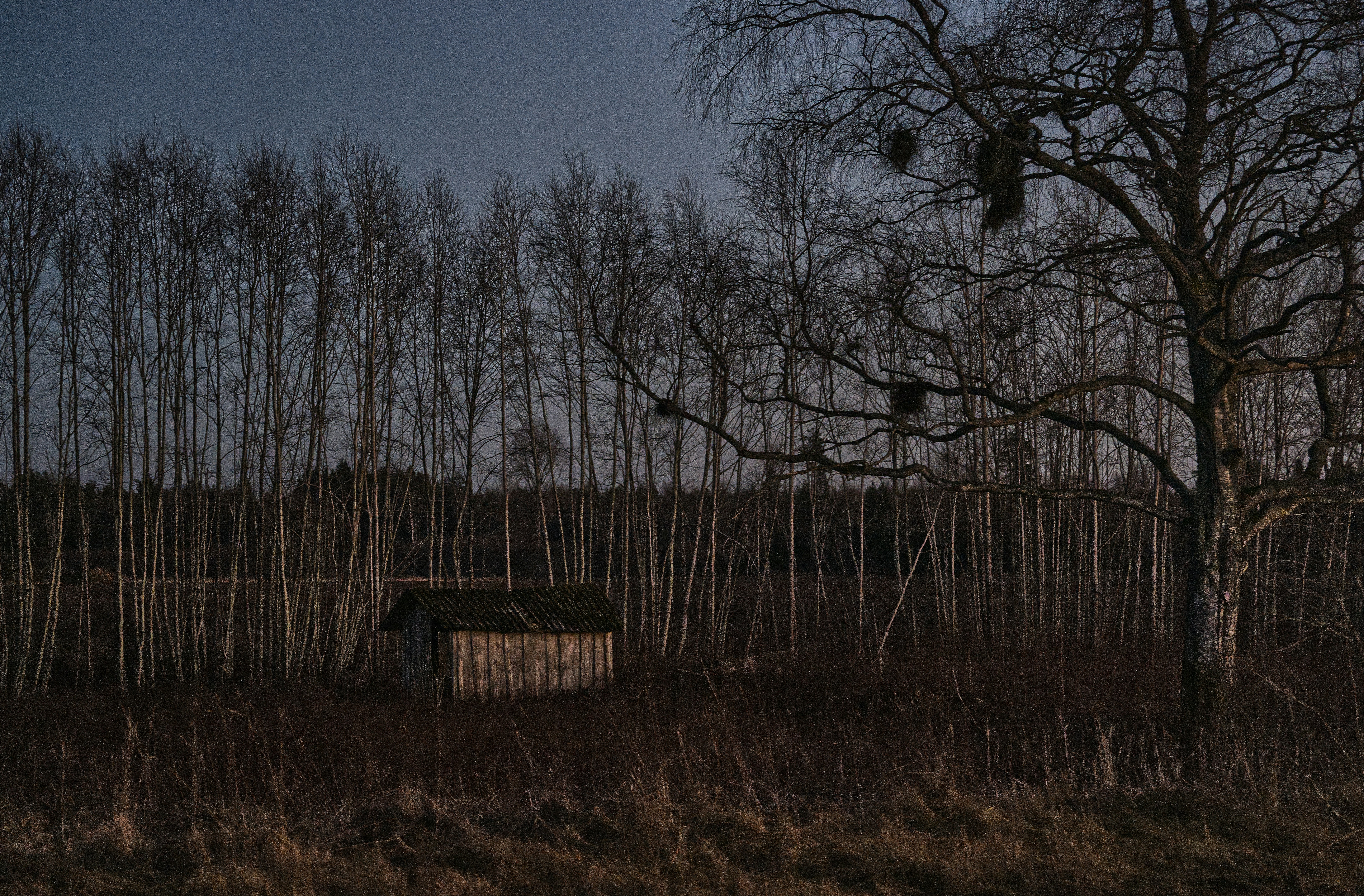 Photo by Andrus Lukas with Sony Alpha 7 IV