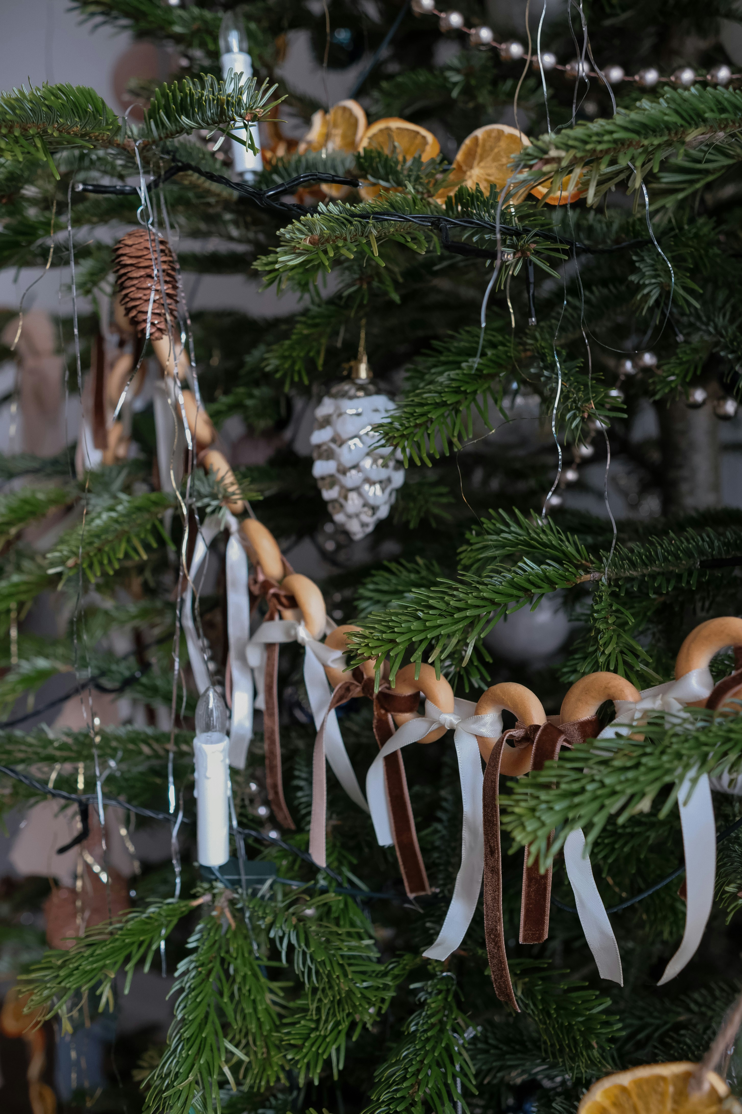 Dried citrus, pine needles, and ribbon magic on a festive evergreen